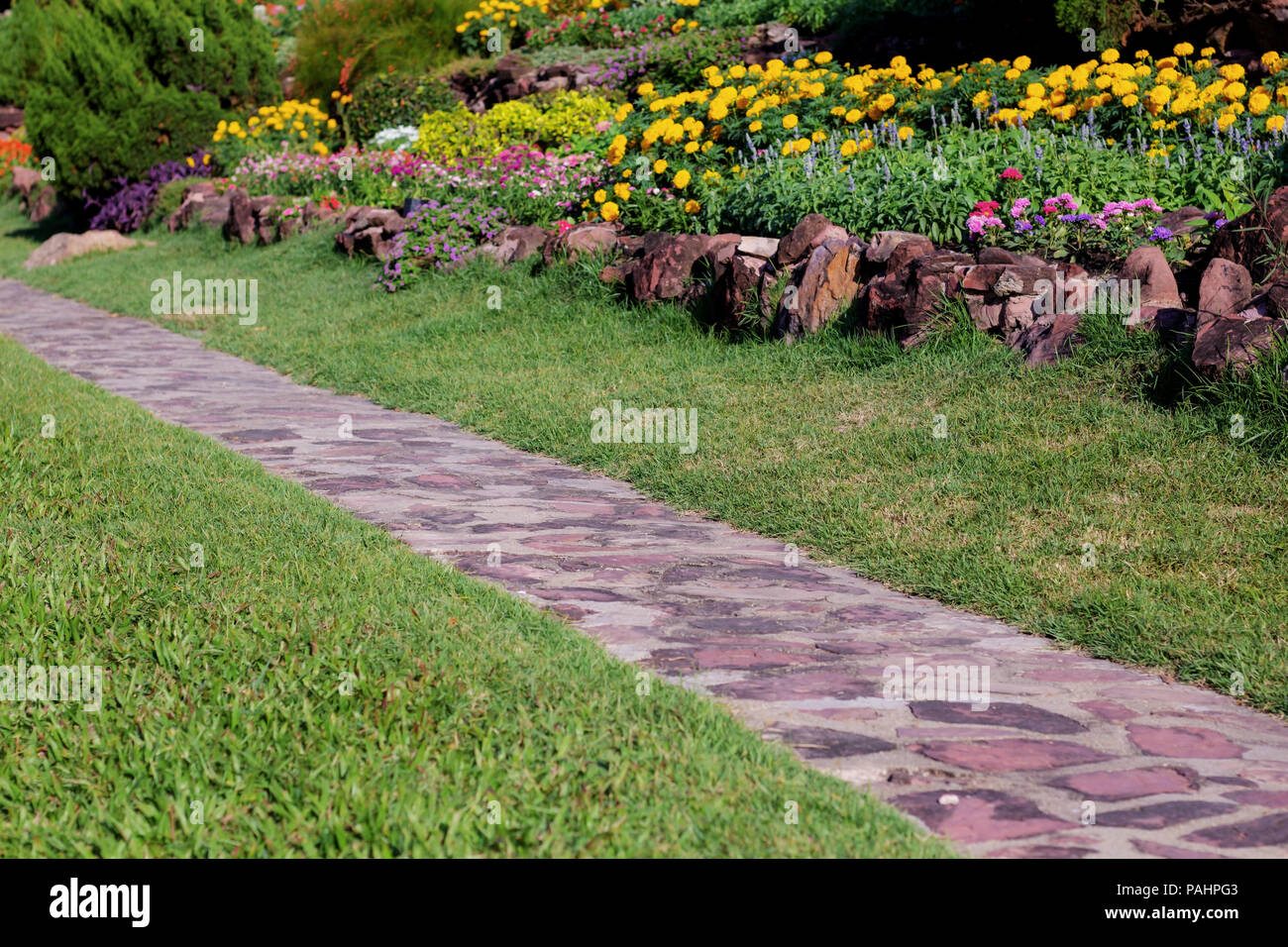Pathway of lawn in garden with sunlight Stock Photo - Alamy