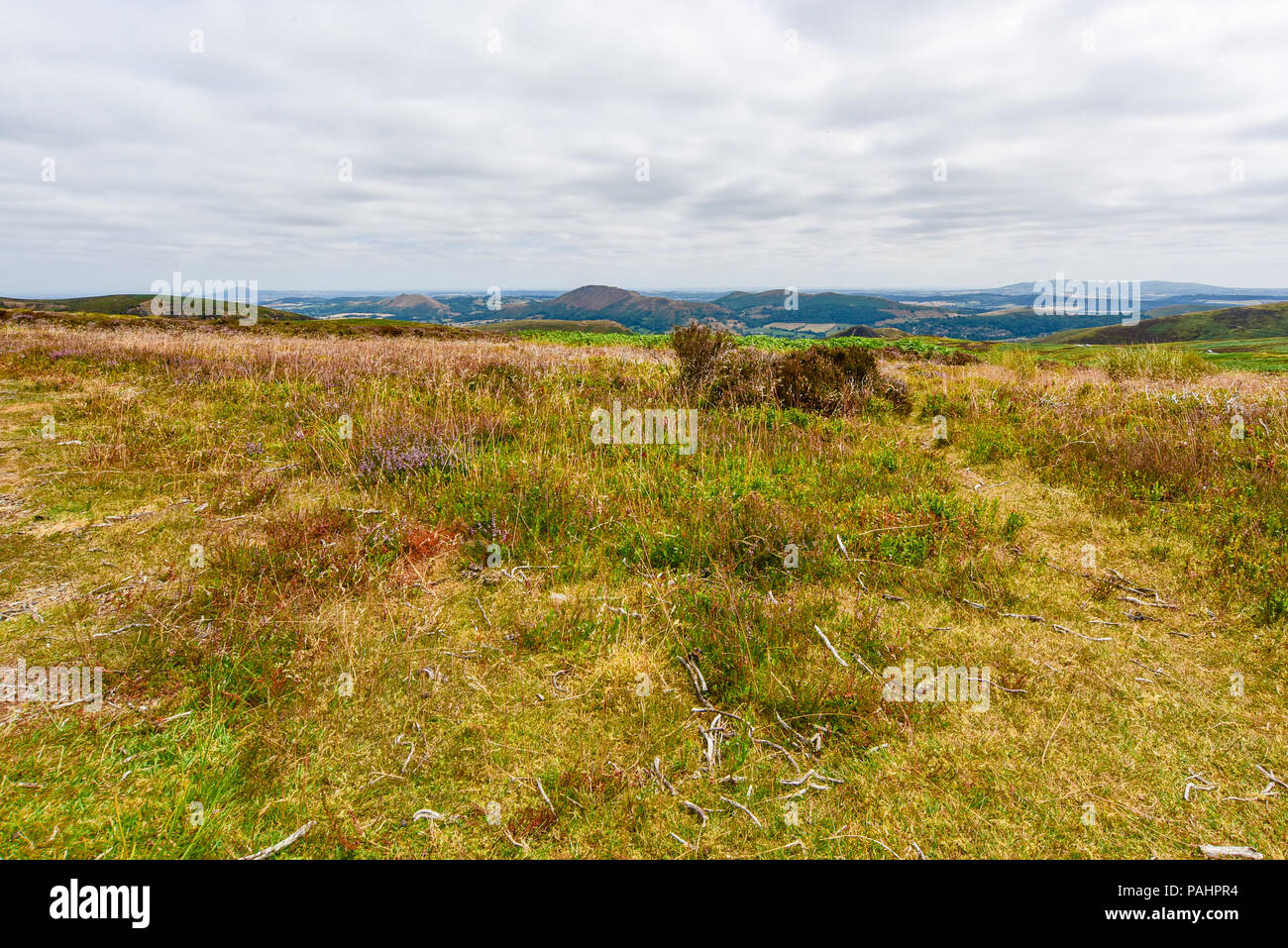 Long mynd shropshire walking hi-res stock photography and images - Alamy
