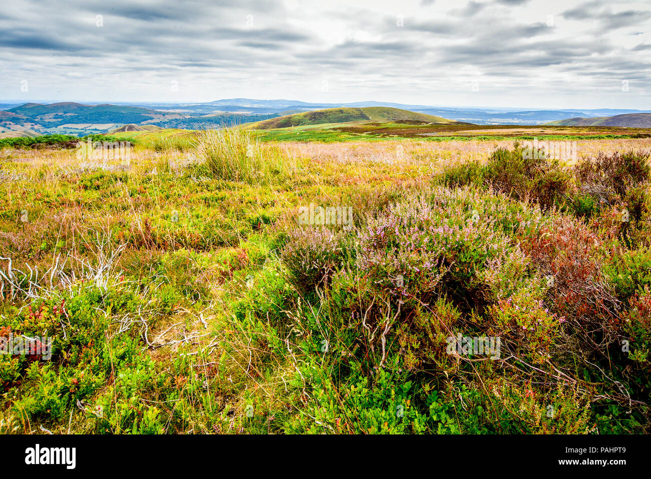 A view from Long Mynd in the Shropshire hills Stock Photo - Alamy