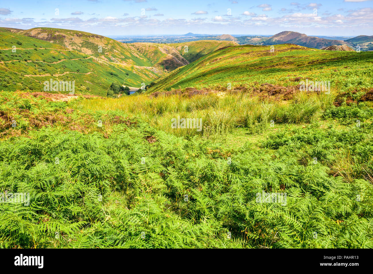 A view from Long Mynd in the Shropshire hills Stock Photo - Alamy