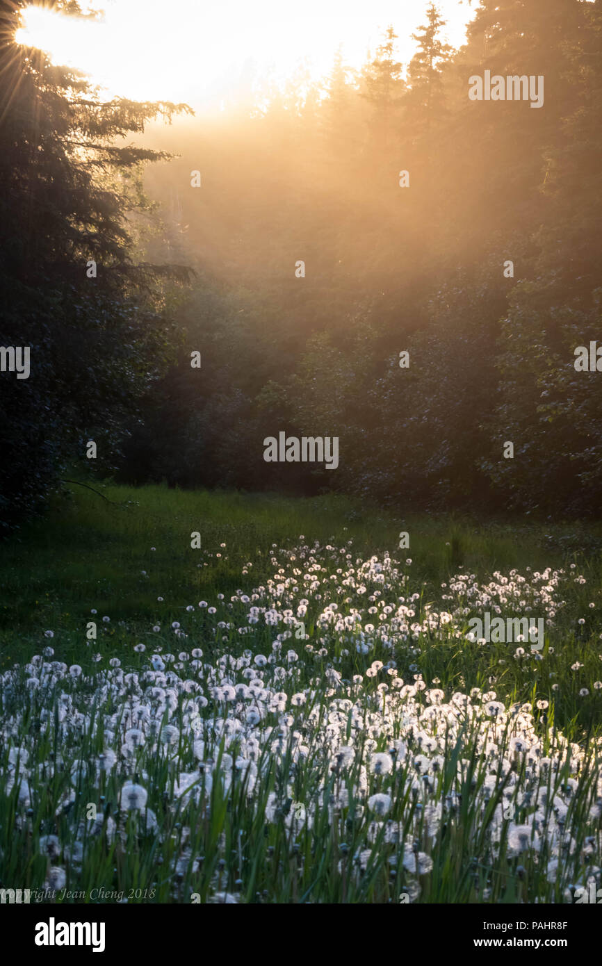 Spring scenes hi-res stock photography and images - Alamy