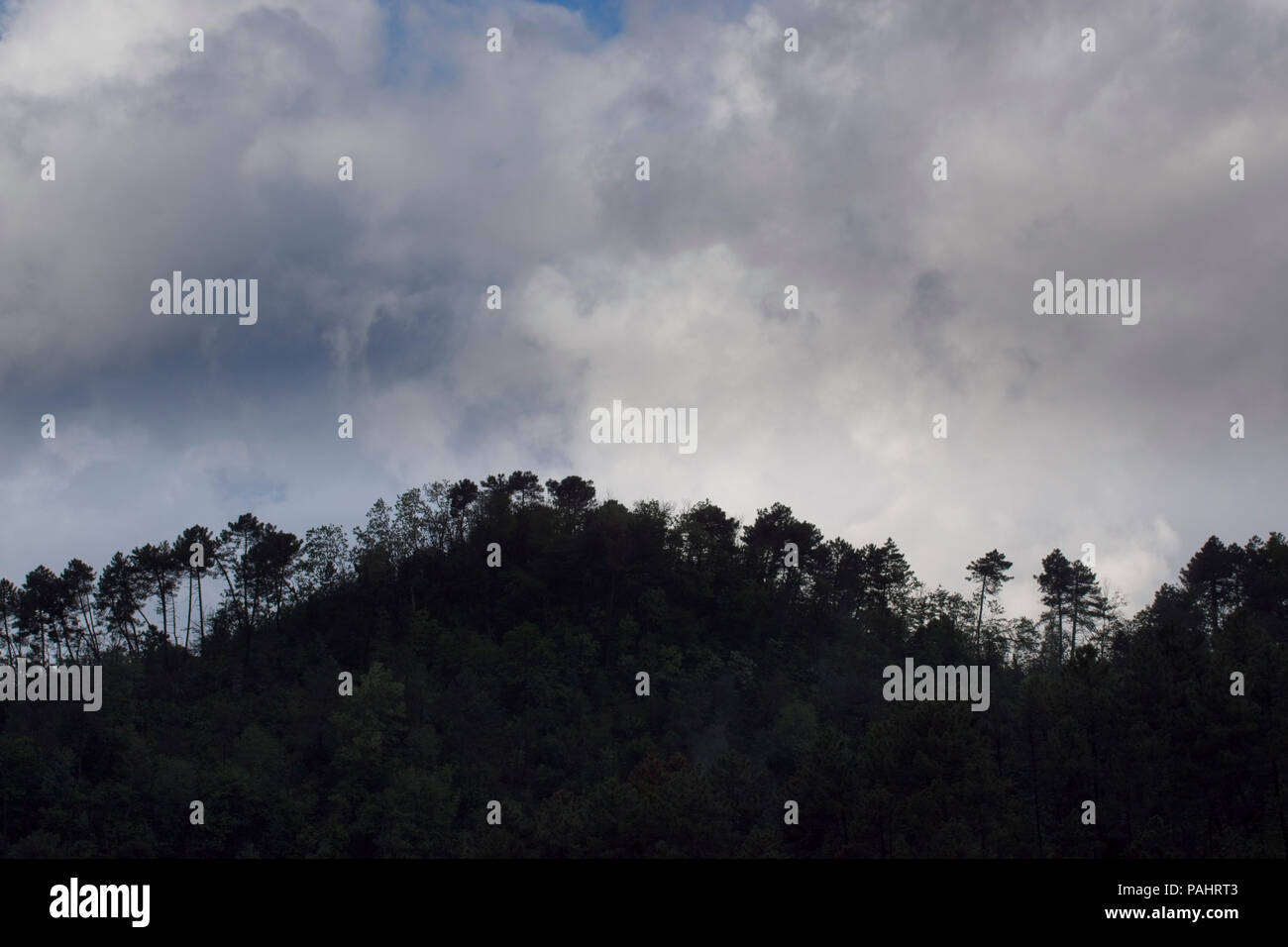 Tree line on hill top with cloudy background Stock Photo - Alamy