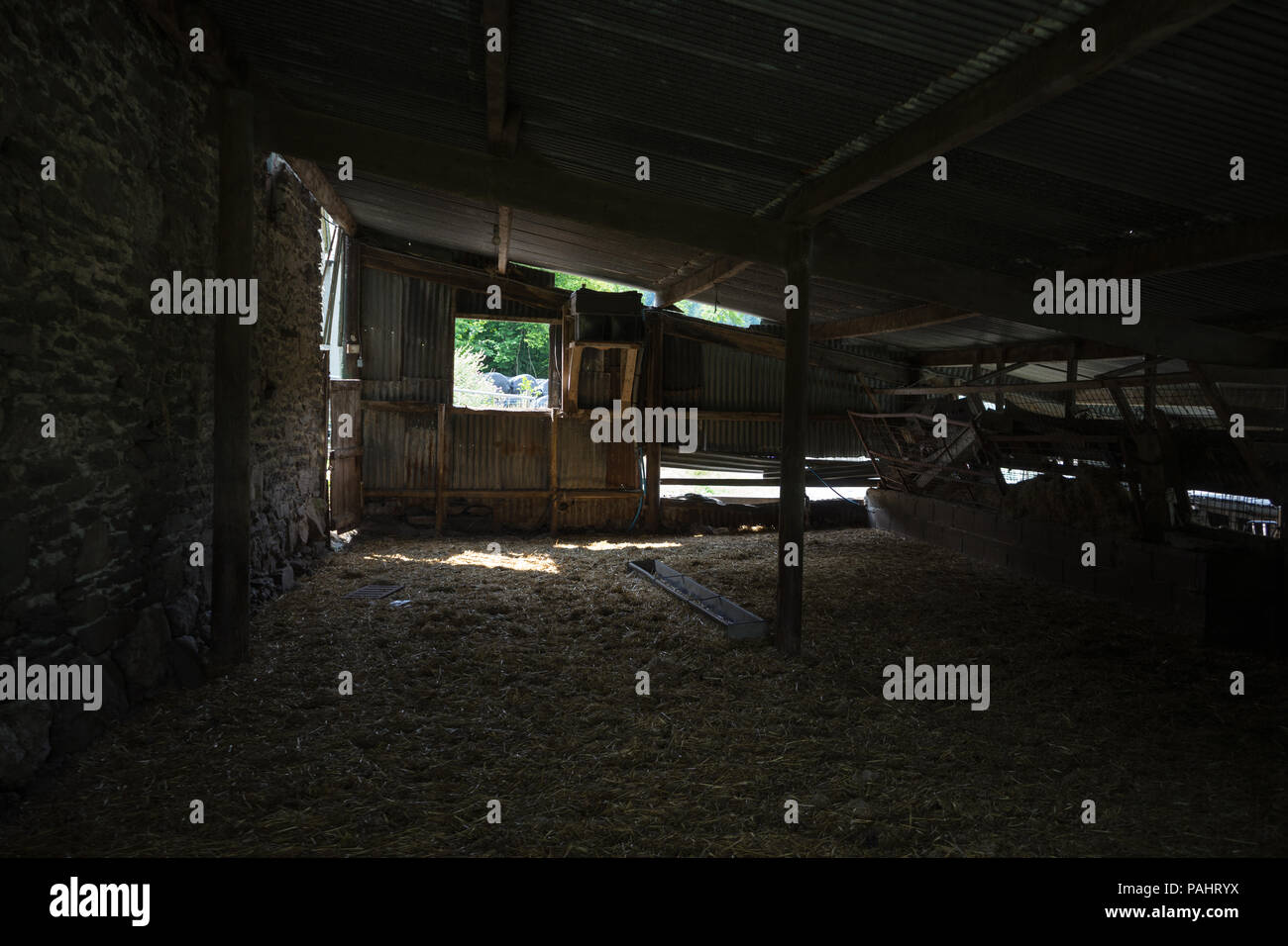 Dark cattle / sheep shed / stable with light peeping through, dark and ...