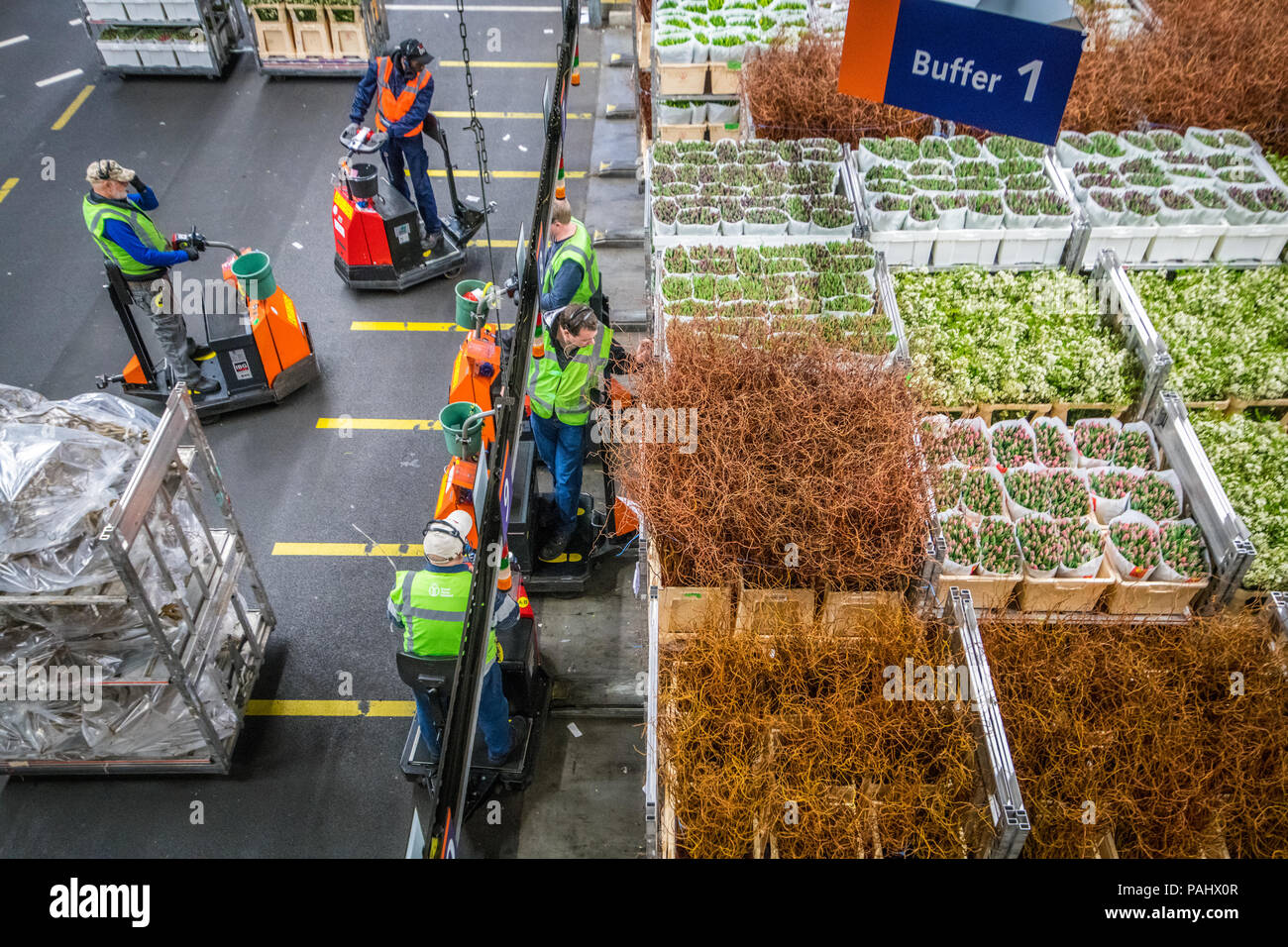 Workers in the warehouse at the worlds largest flower auction, Royal ...