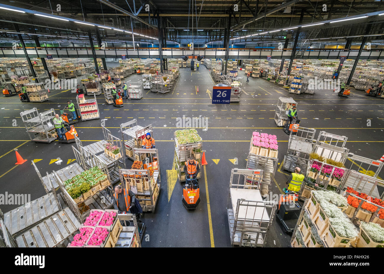 Workers in the warehouse at the worlds largest flower auction, Royal ...