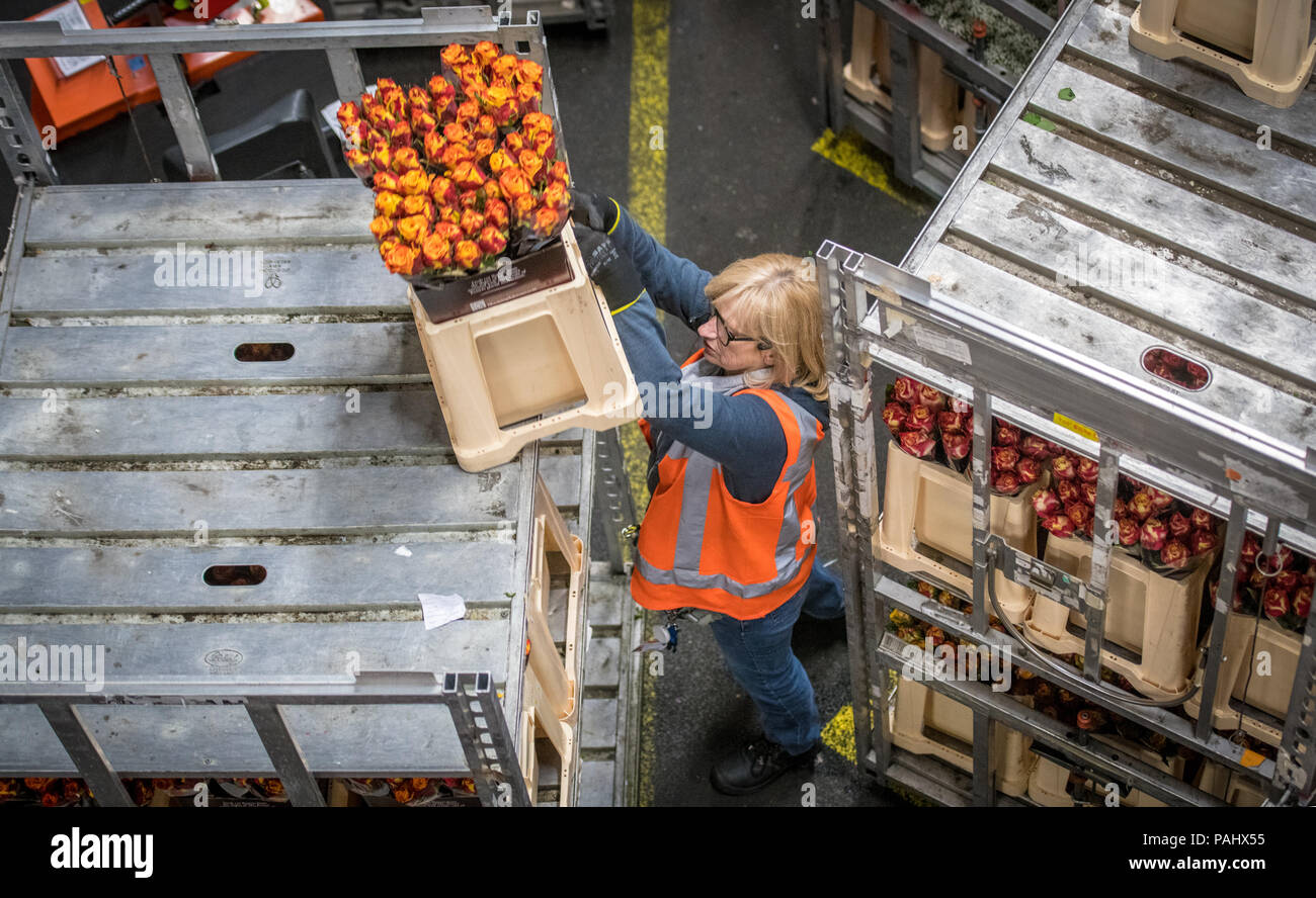 A worker in the warehouse at the worlds largest flower auction, Royal ...