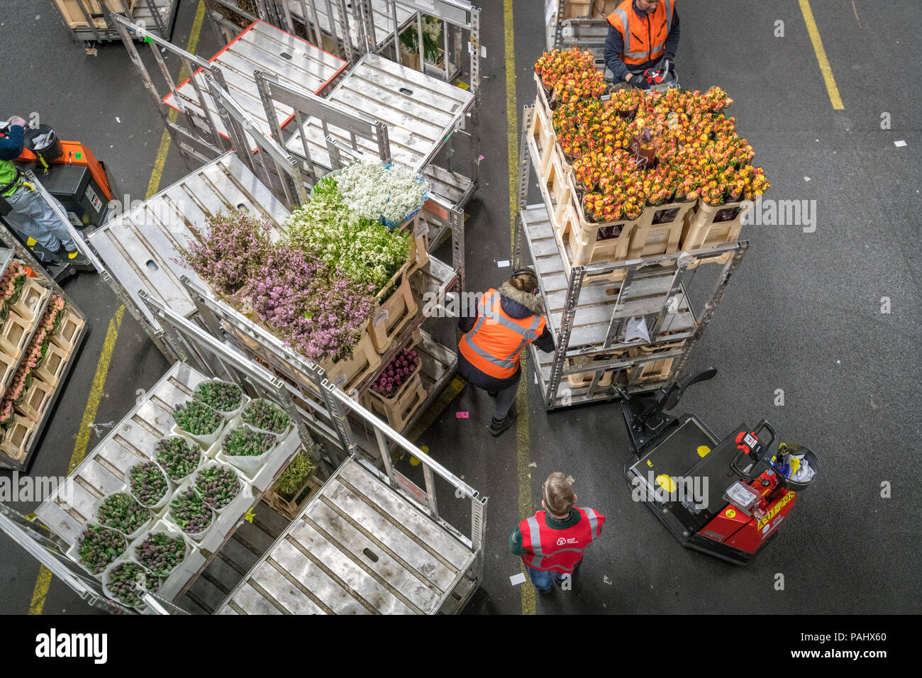 Workers in the warehouse at the worlds largest flower auction, Royal ...
