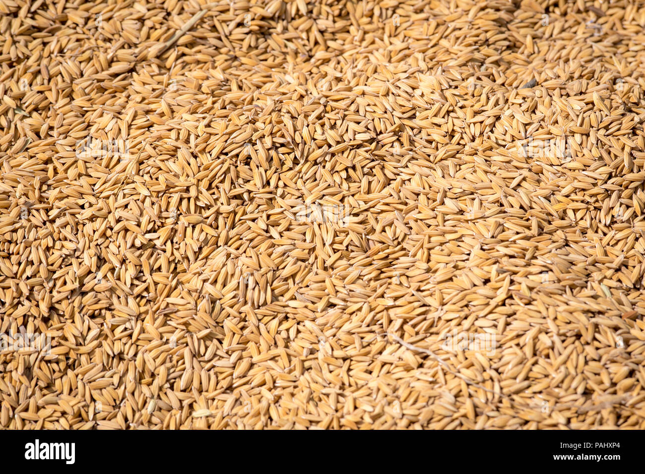 Liberia grain hi-res stock photography and images - Alamy