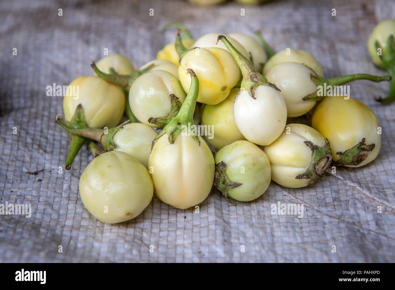 Liberia africa palm tree hi-res stock photography and images - Alamy