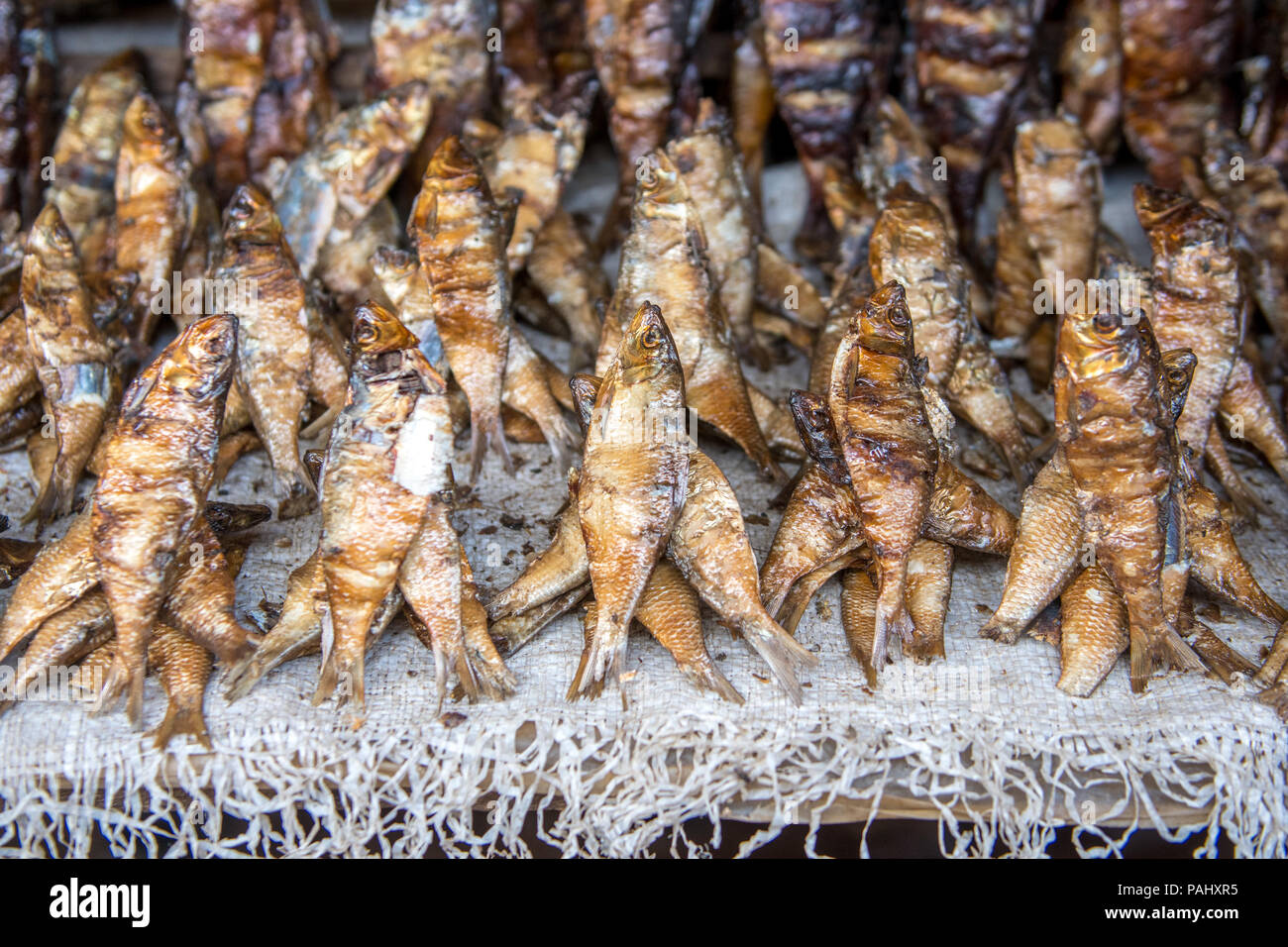 Liberia fish hi-res stock photography and images - Alamy