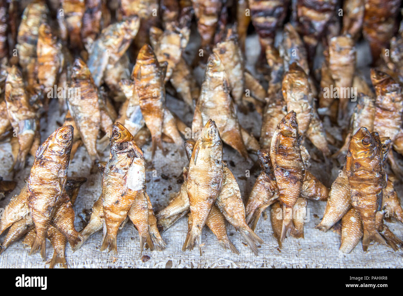 Liberia fish hi-res stock photography and images - Alamy