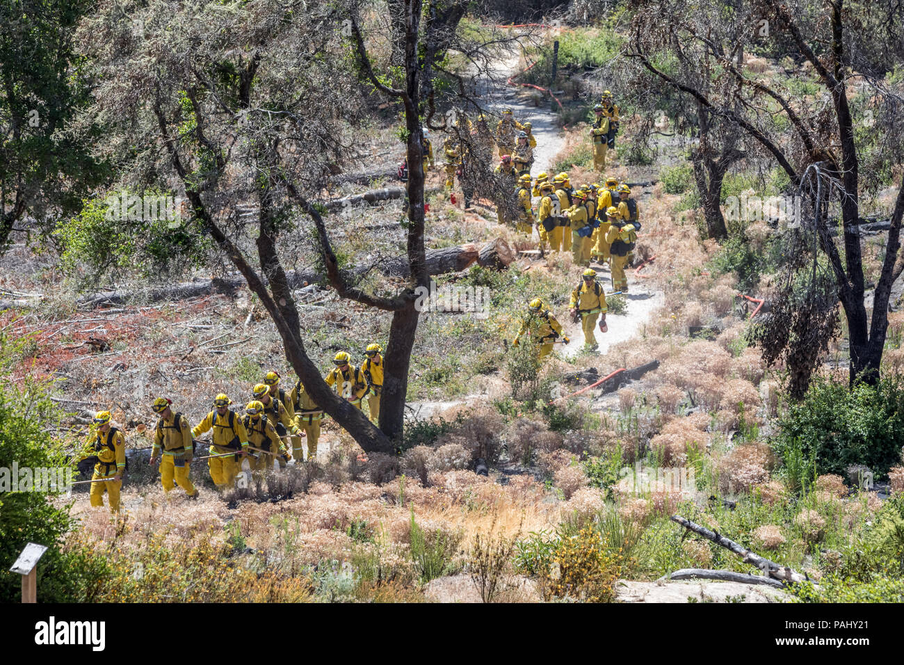 Firefighter bulldozer hi-res stock photography and images - Alamy