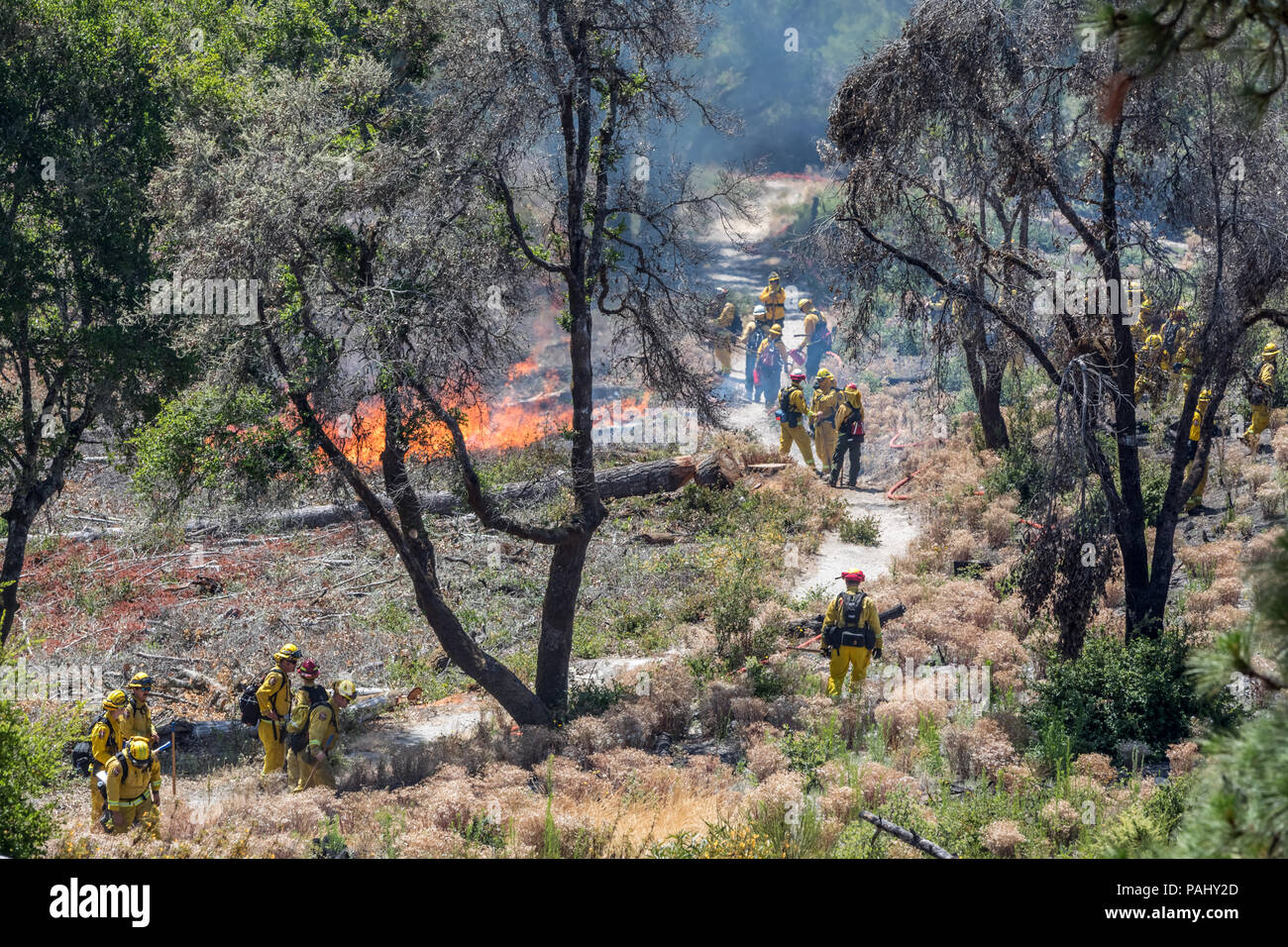 Firefighter bulldozer hi-res stock photography and images - Alamy