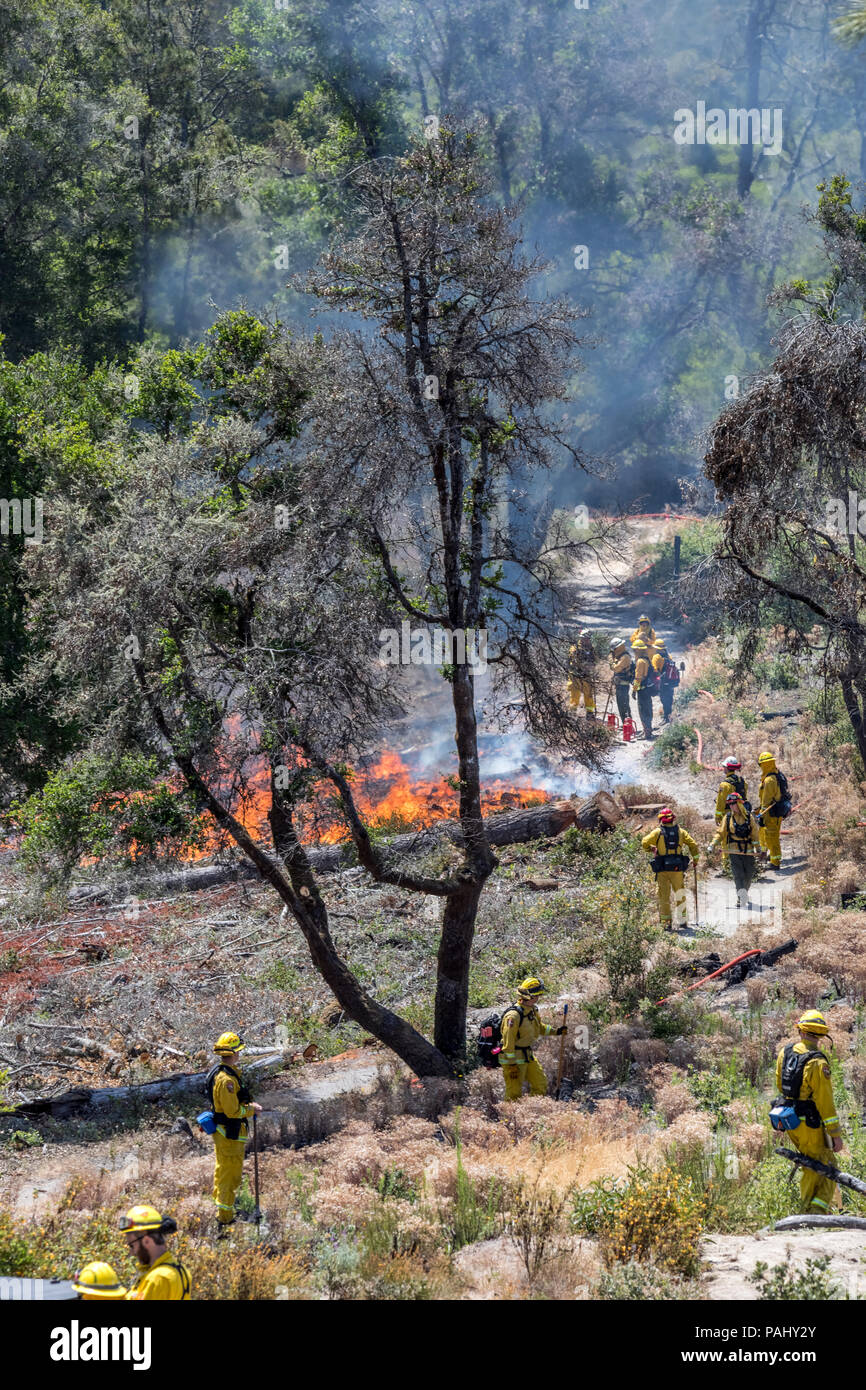 Firefighters fighting fires in California Stock Photo - Alamy