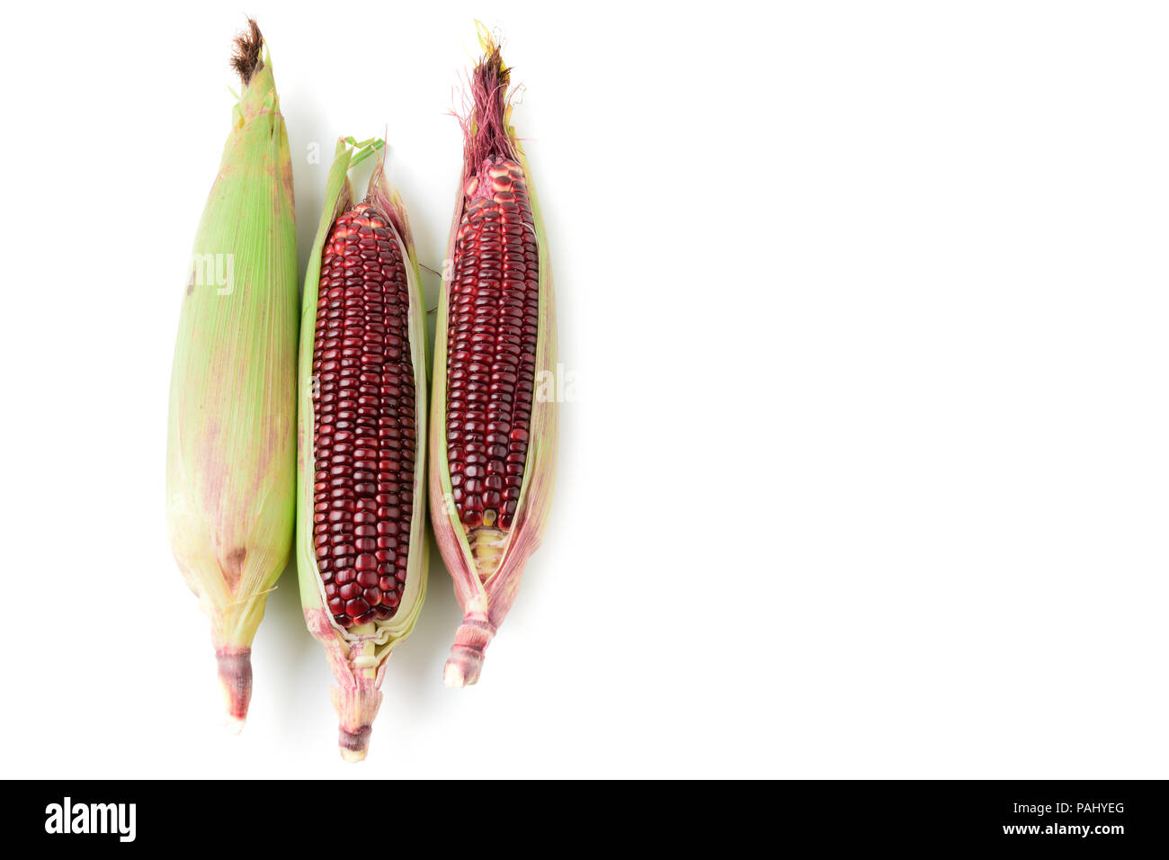 Siam Ruby Queen Corn isolated on white background with copy space, Can ...