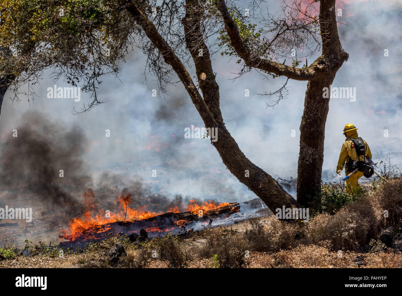 Firefighter bulldozer hi-res stock photography and images - Alamy