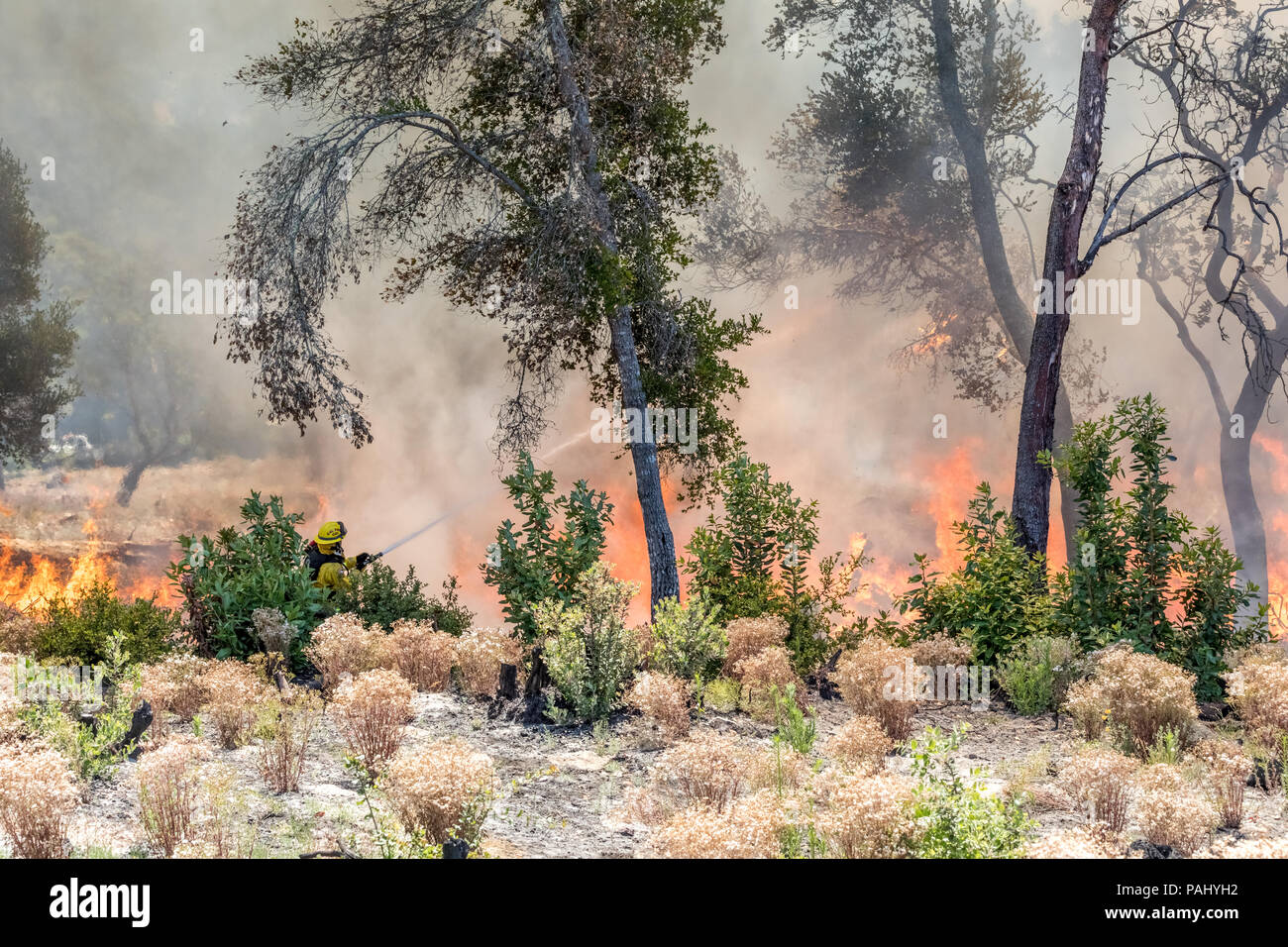 Firefighter bulldozer hi-res stock photography and images - Alamy