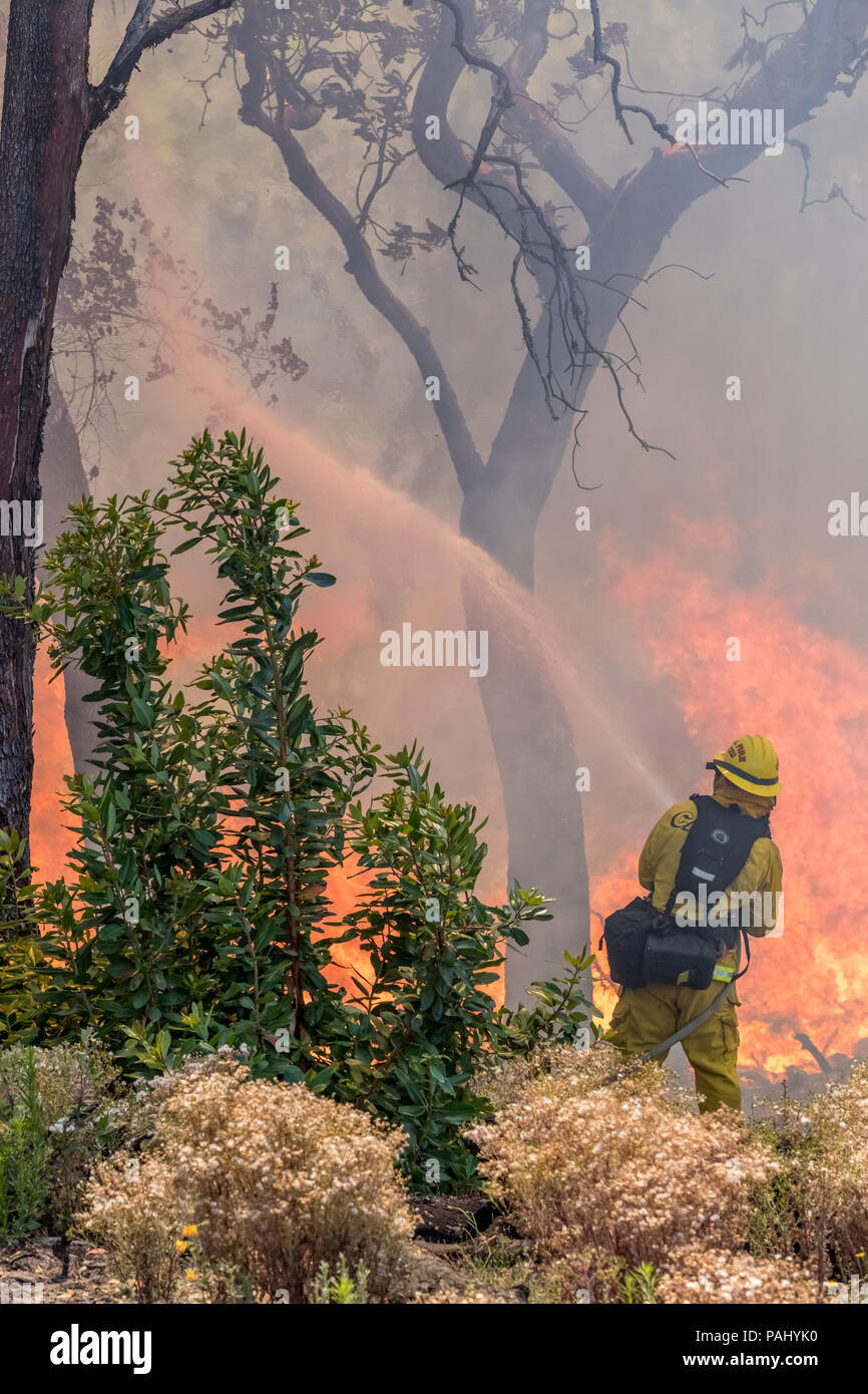 Firefighters fighting fires in California Stock Photo - Alamy
