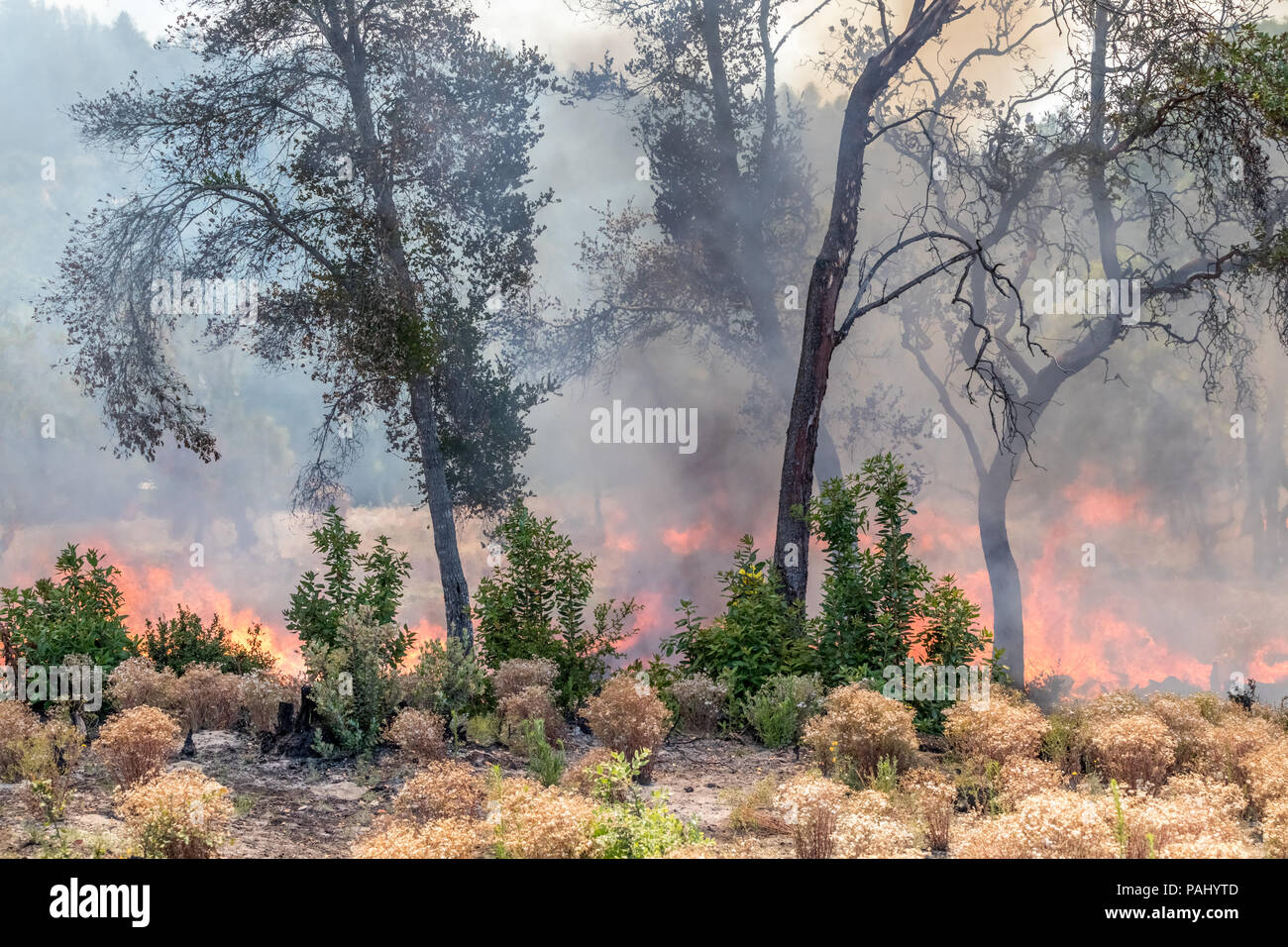 Firefighters fighting fires in California Stock Photo - Alamy
