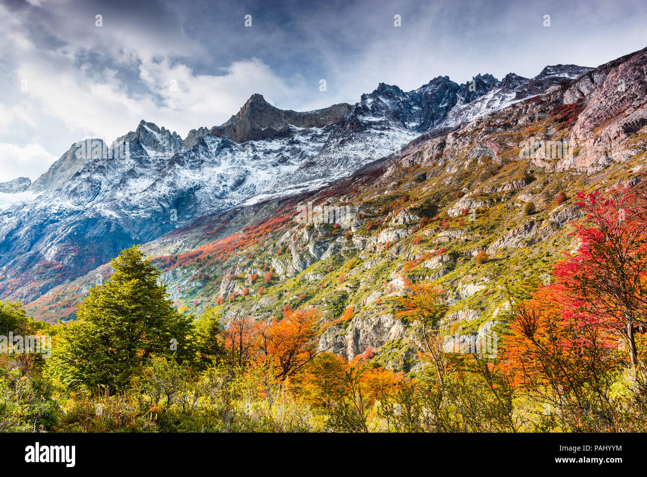 Patagonia, Chile - Torres del Paine autumn landscape in Cordillera ...