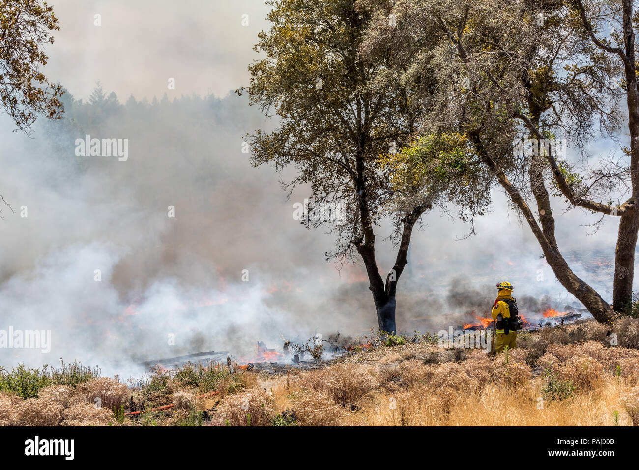 Firefighter bulldozer hi-res stock photography and images - Alamy