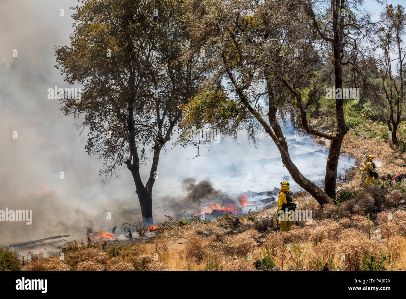 Firefighter bulldozer hi-res stock photography and images - Alamy