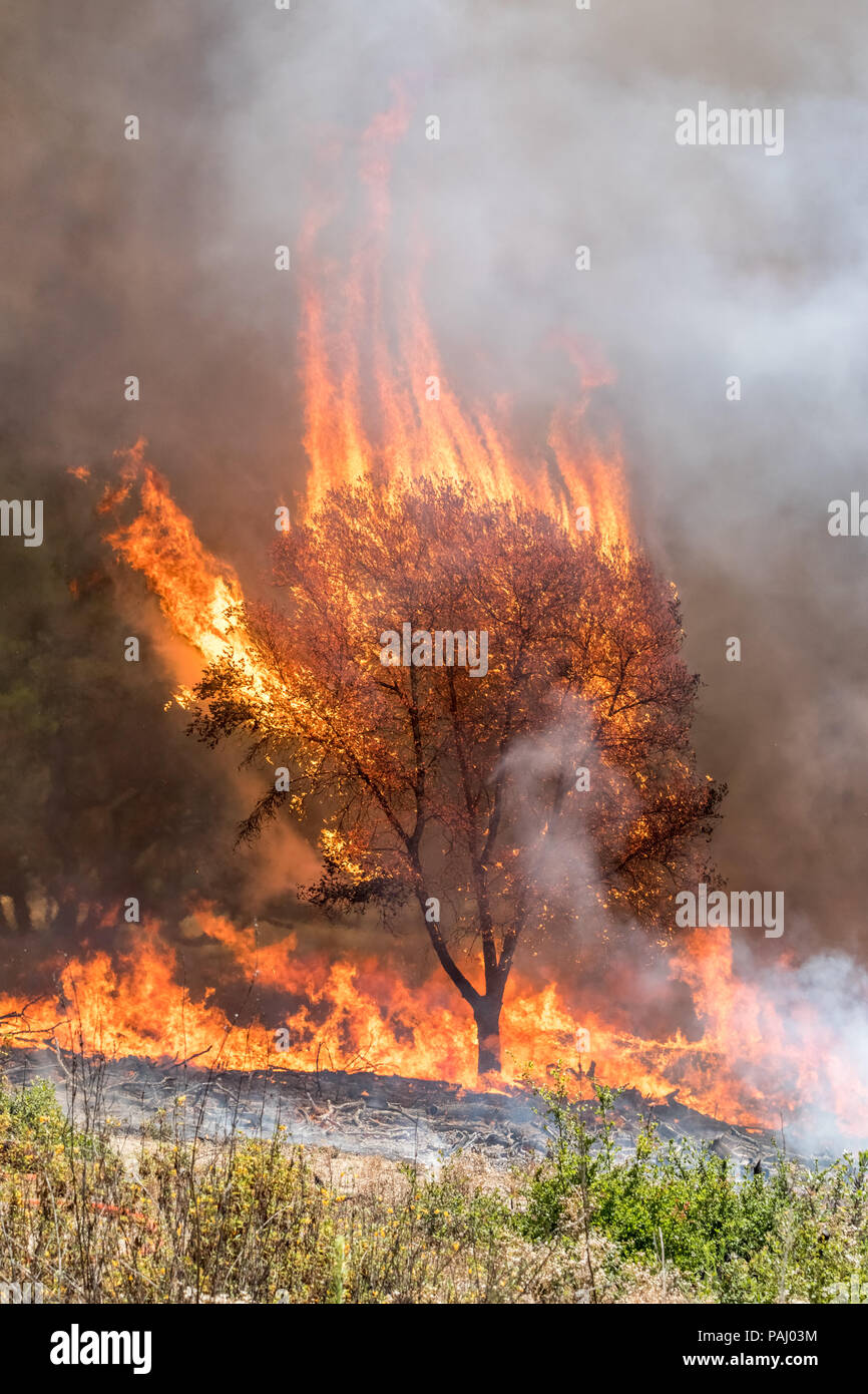 Firefighter bulldozer hi-res stock photography and images - Alamy