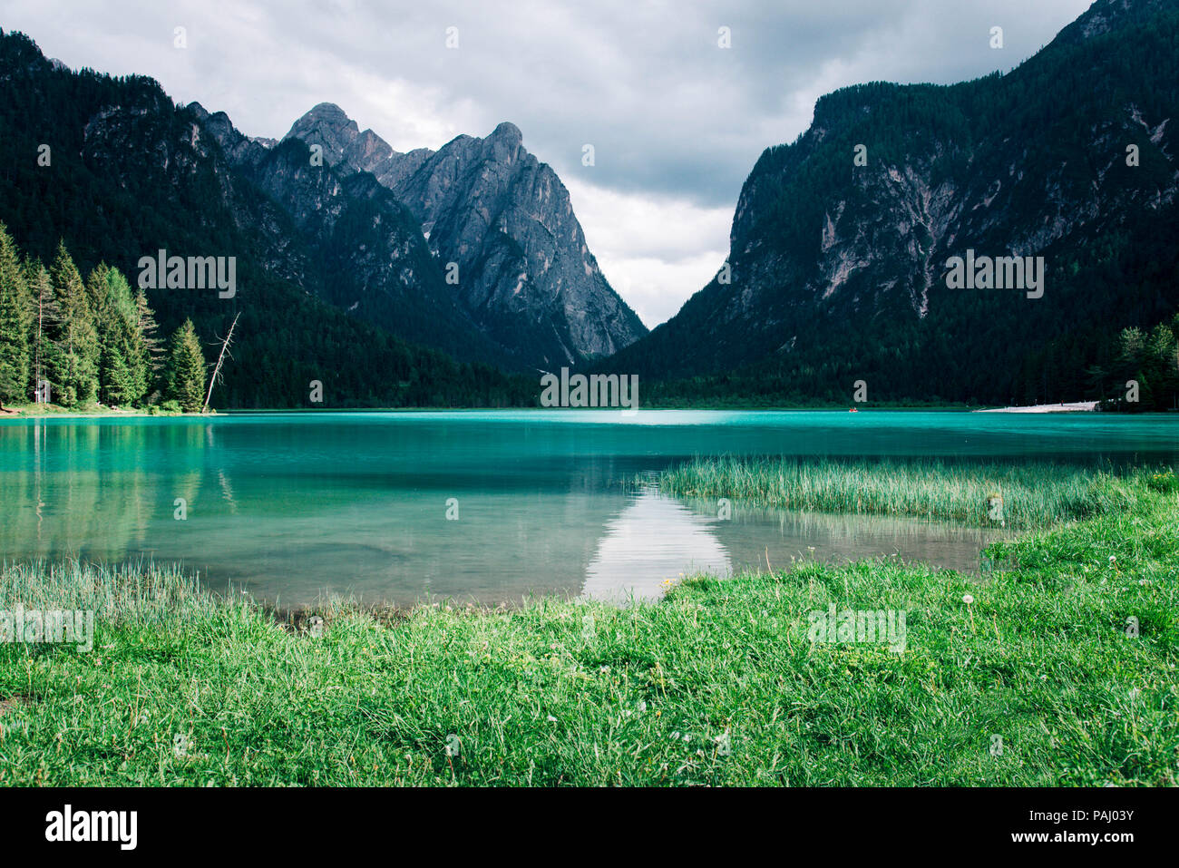 Dobbiaco Lake in the Dolomites Alps, summer landscape, Bolzano, Italy ...