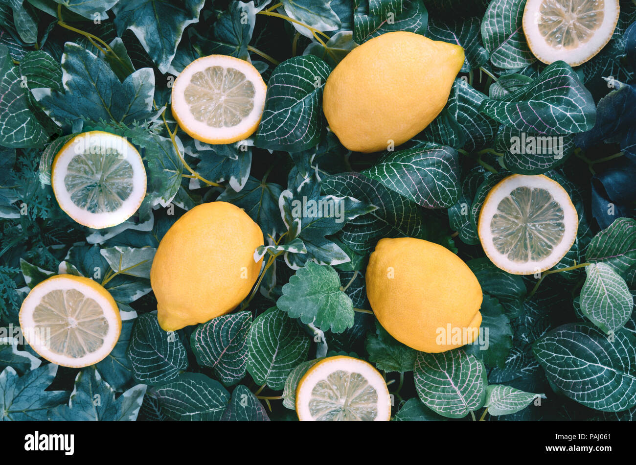 Citrus background. Assorted fresh lemon fruits with leaves. Top view ...