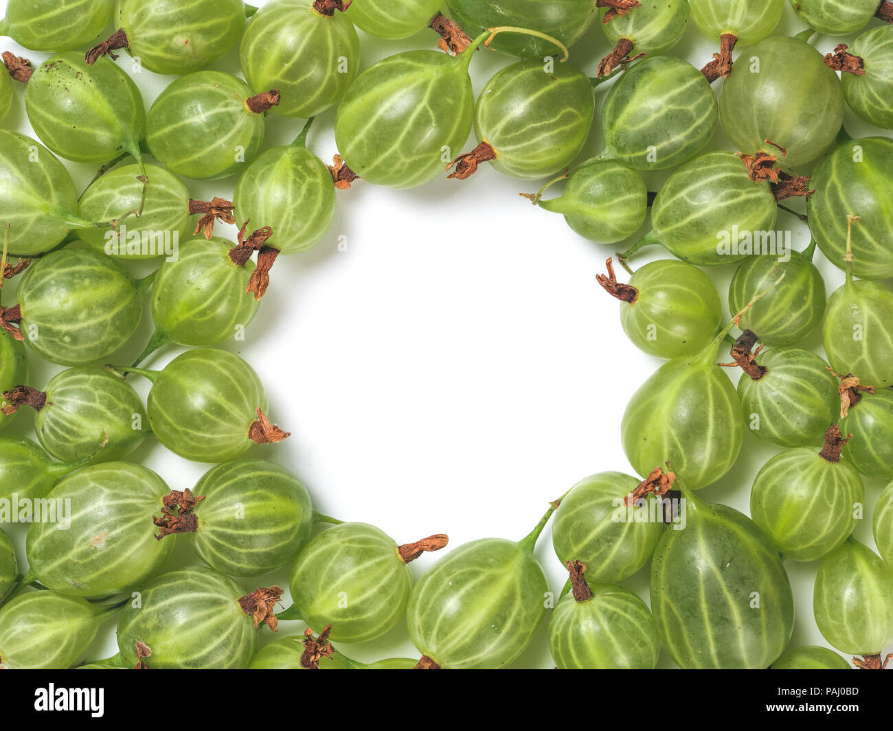 Ripe green gooseberry pattern. Creative layout made of organic ...