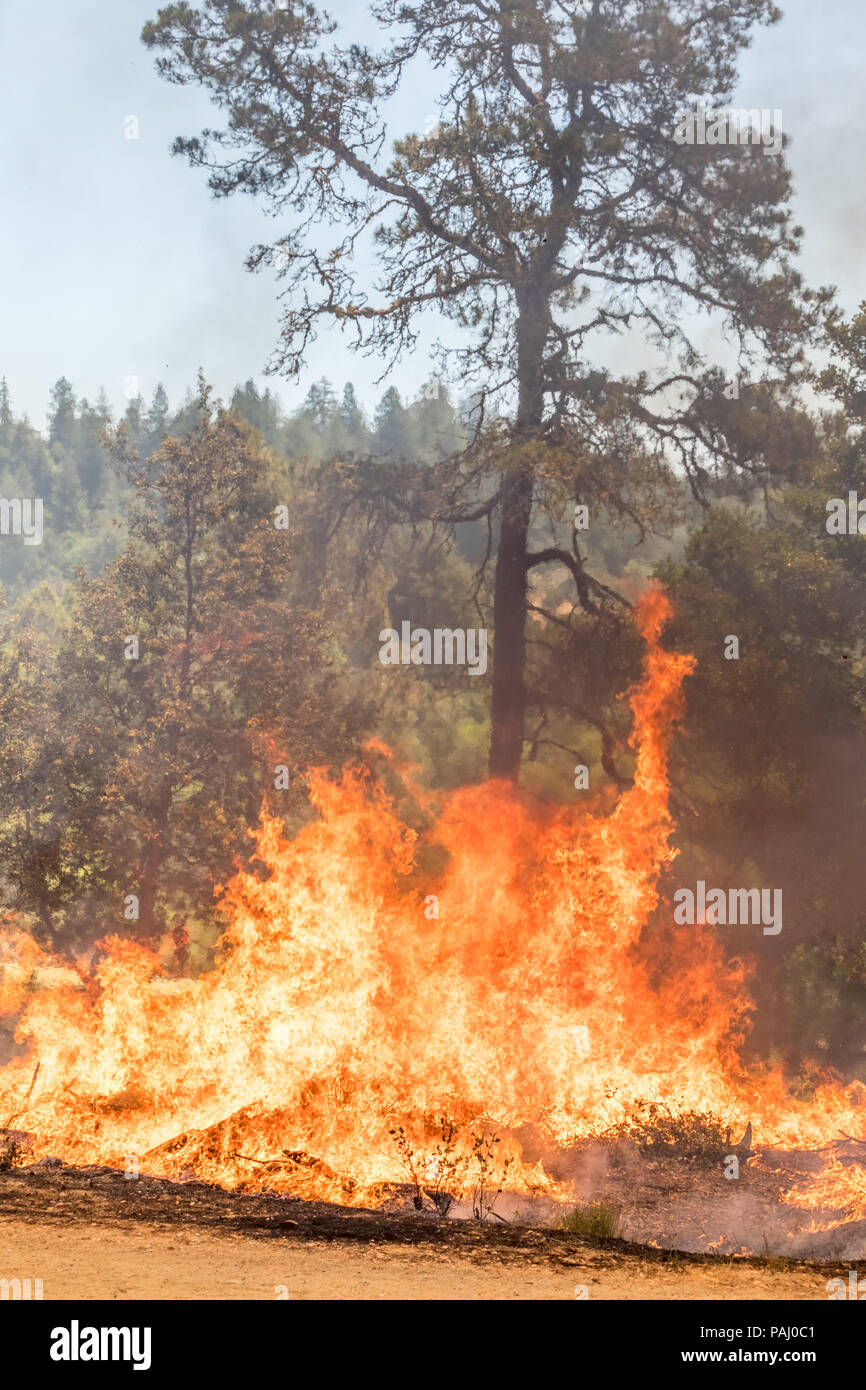 Firefighter bulldozer hi-res stock photography and images - Alamy