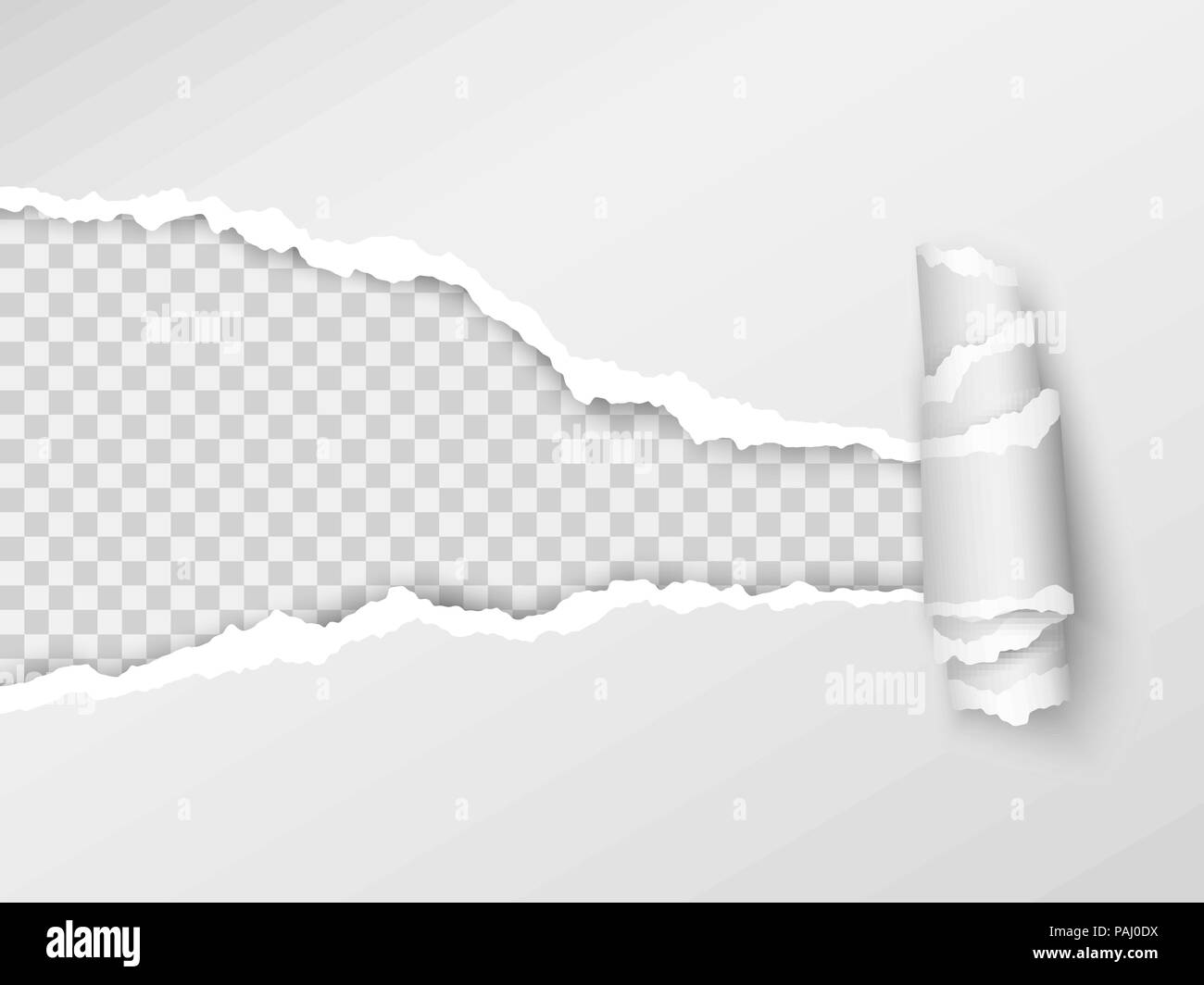 Torn Paper Vector Png