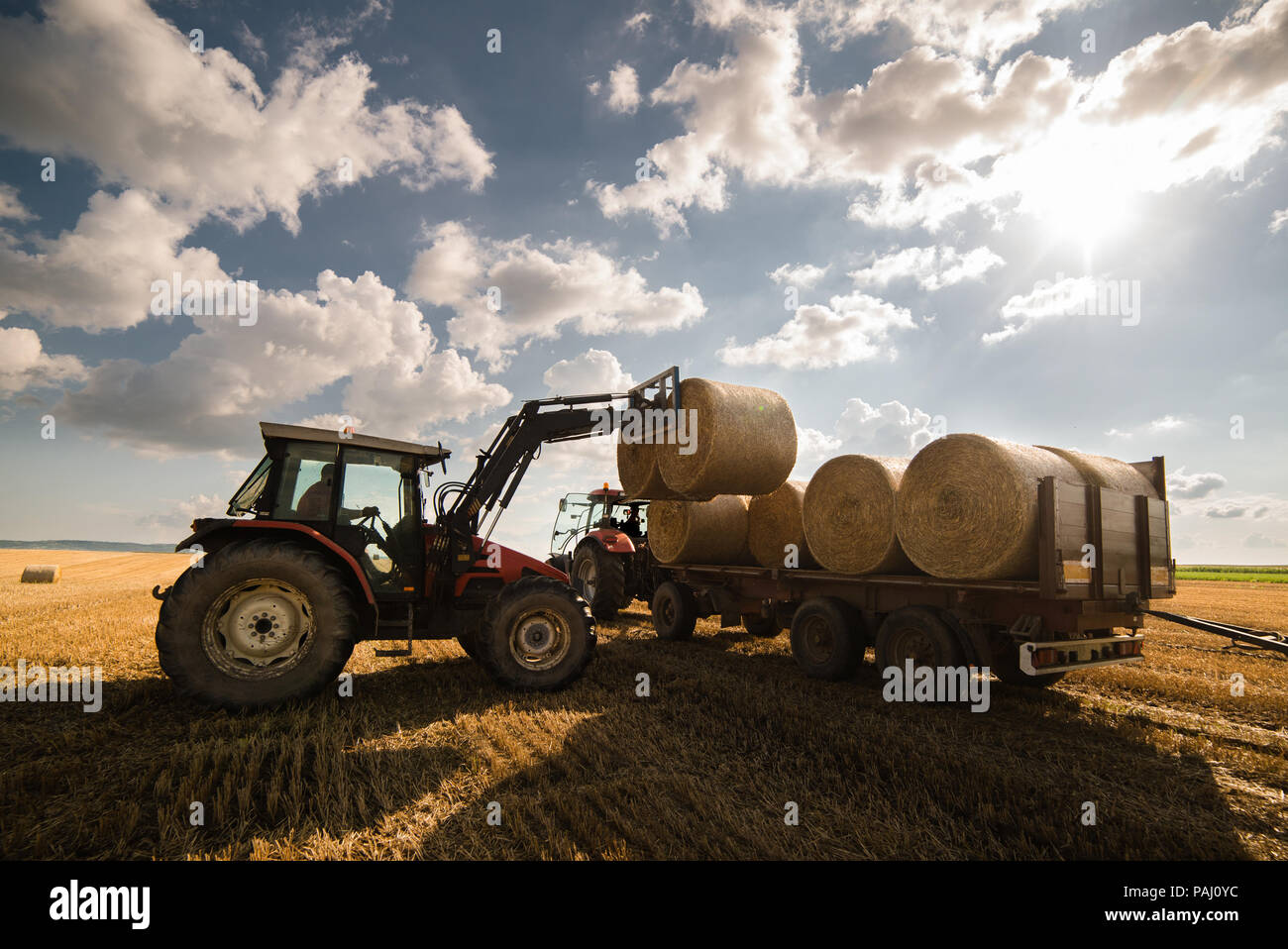 Agriculture straw wagon in farm field Stock Photo - Alamy