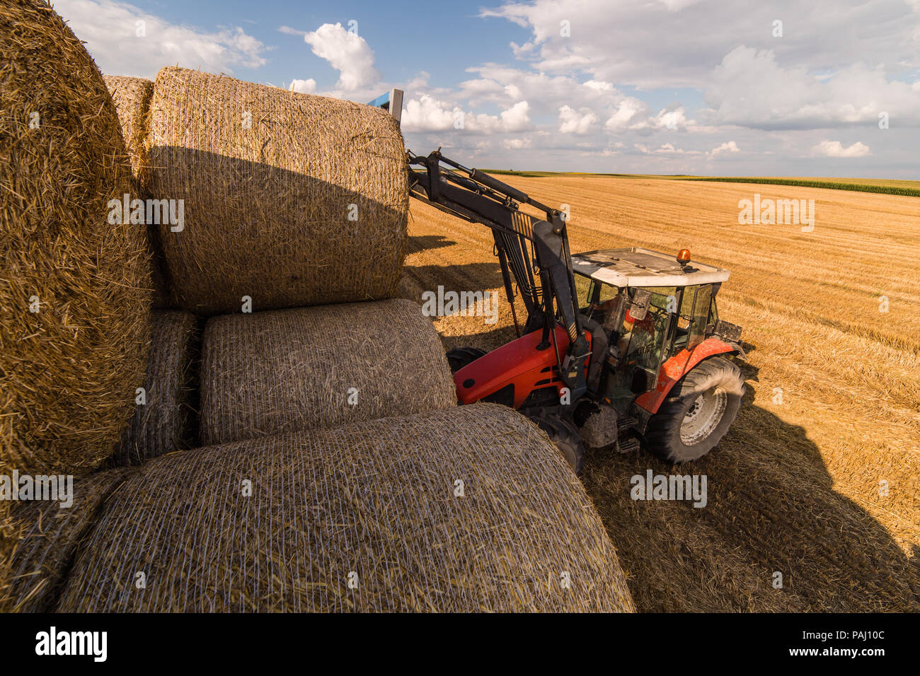 Agriculture straw wagon in farm field Stock Photo - Alamy