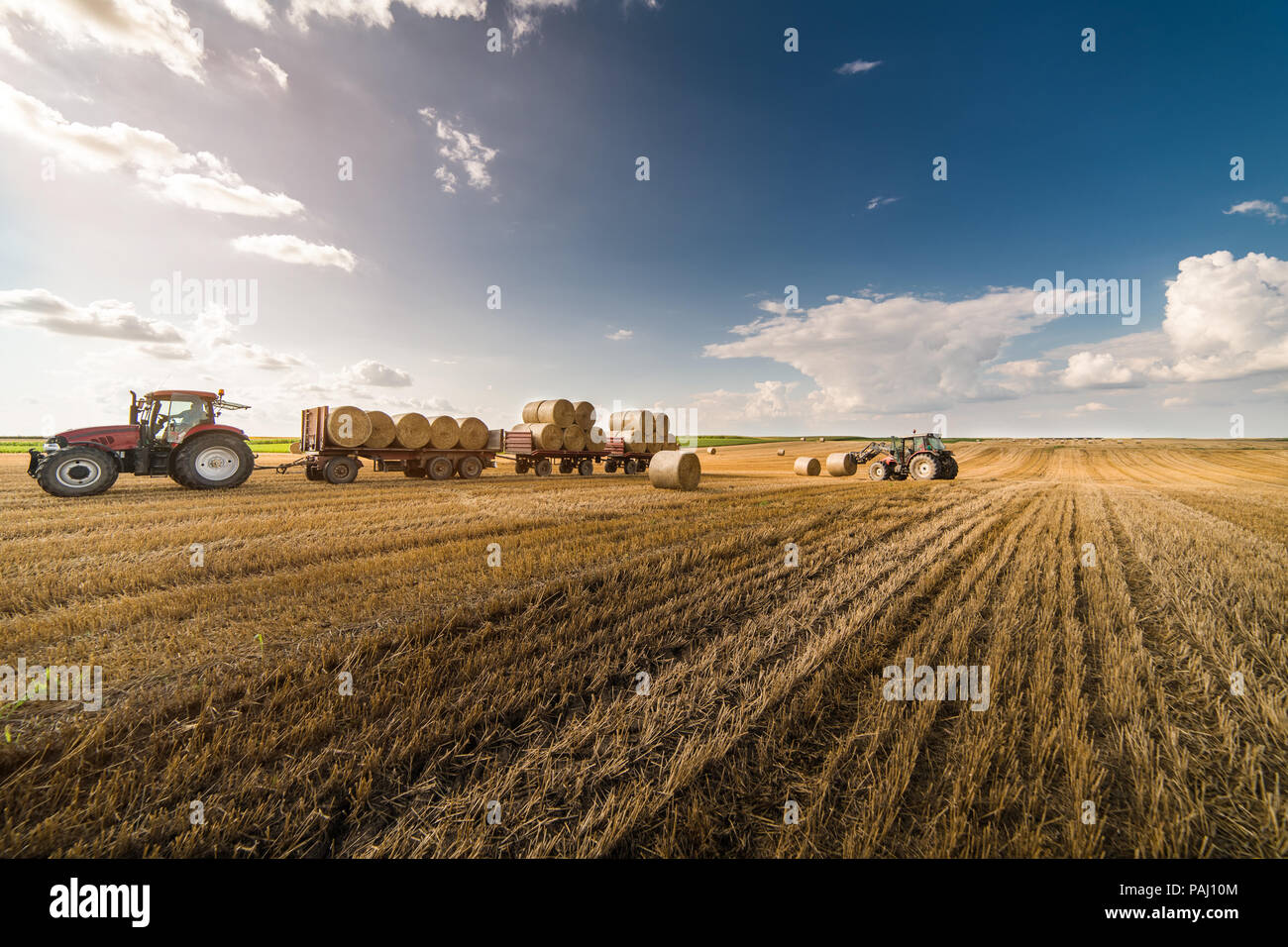 Agriculture straw wagon in farm field Stock Photo - Alamy