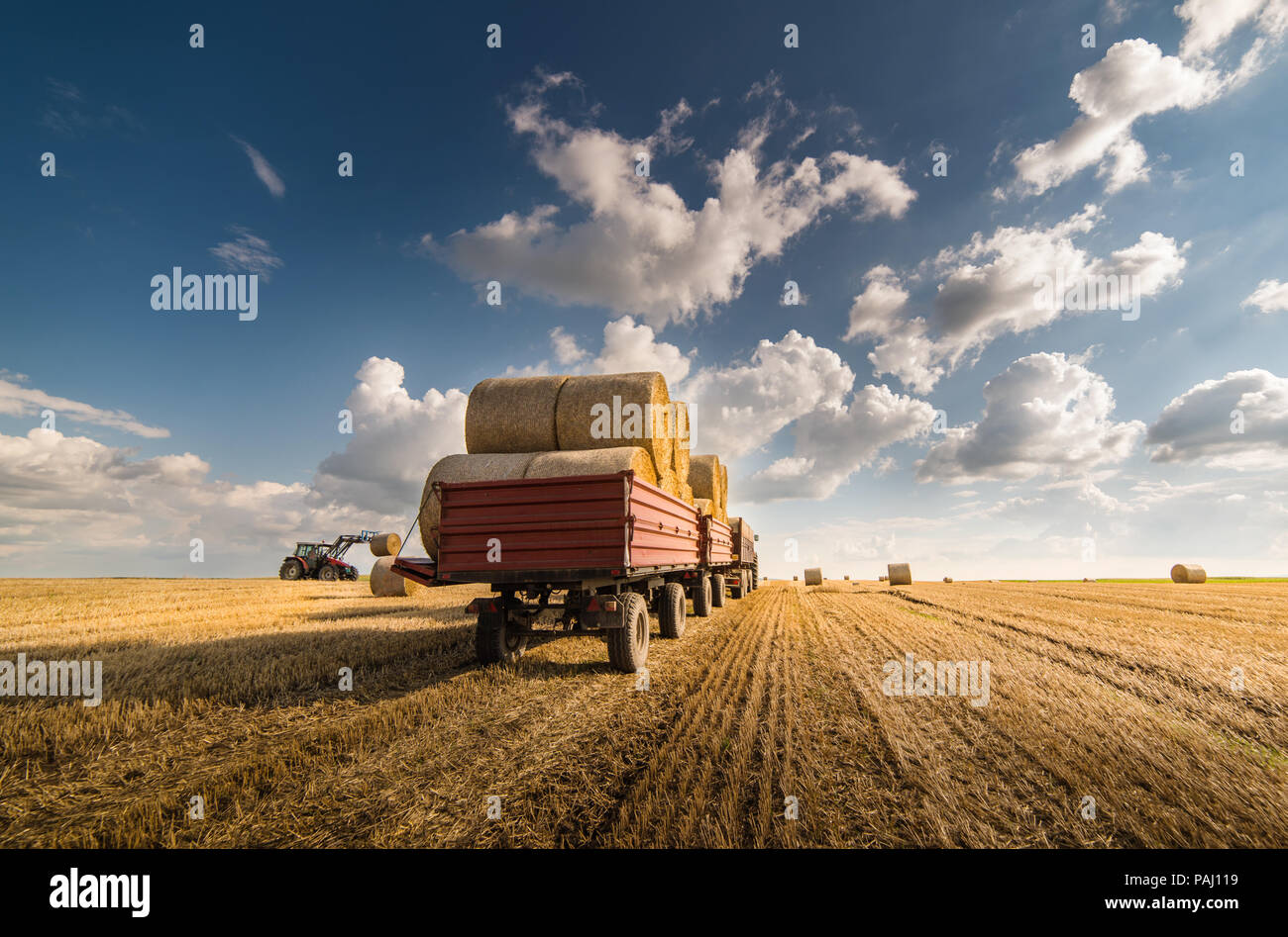 Agriculture straw wagon in farm field Stock Photo - Alamy