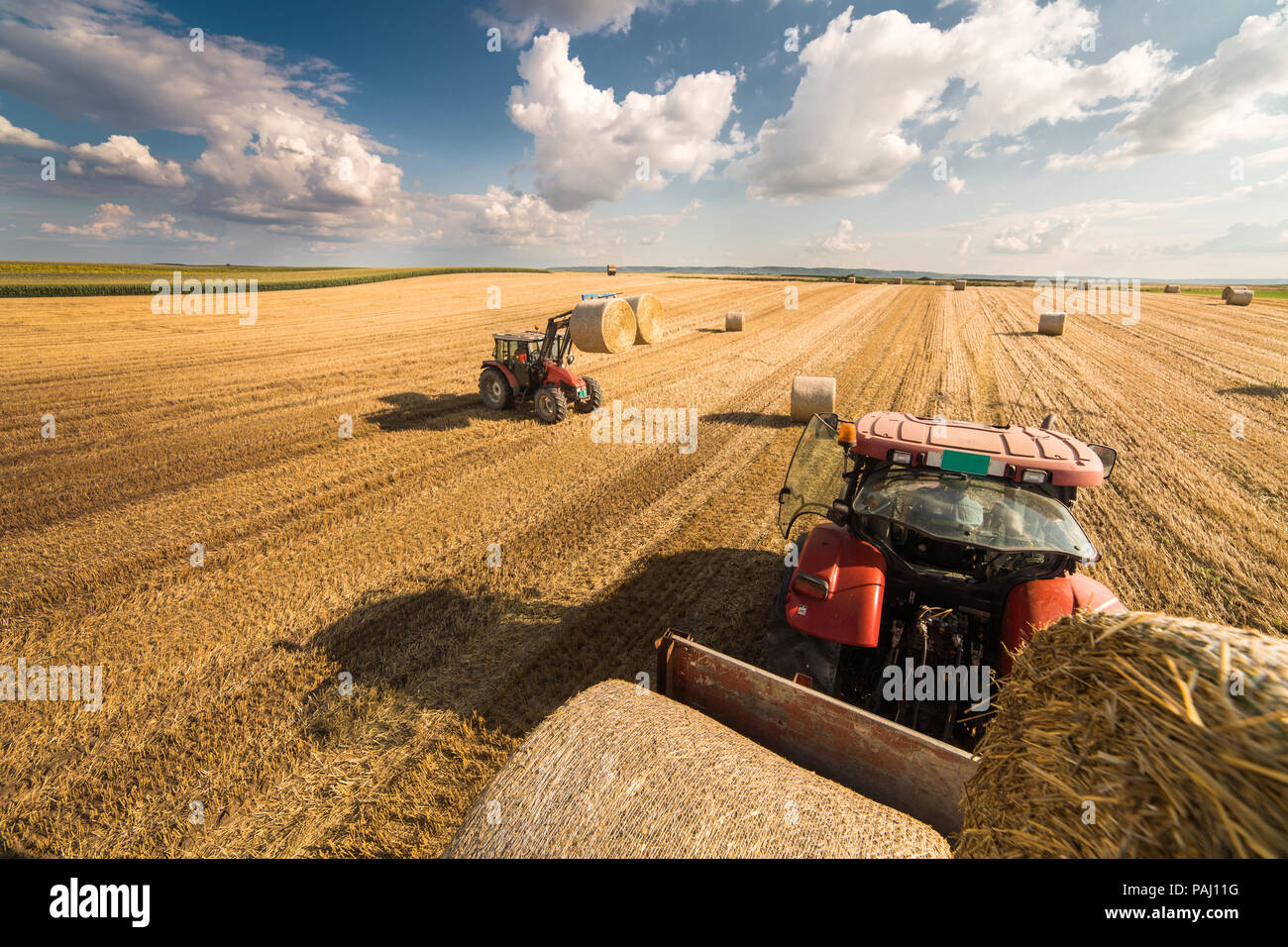 Agriculture straw wagon in farm field Stock Photo - Alamy