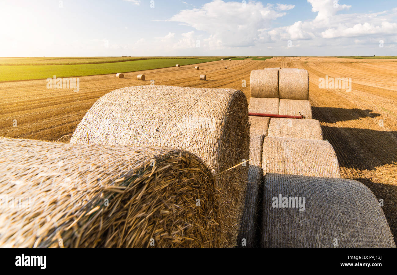 Straw bales in a harvested field Stock Photo - Alamy
