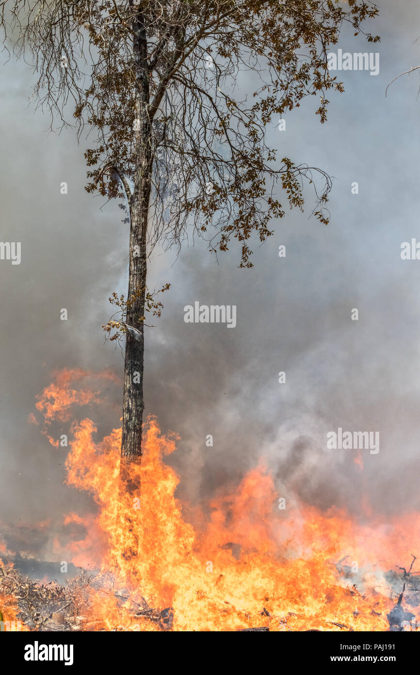 Firefighter bulldozer hi-res stock photography and images - Alamy