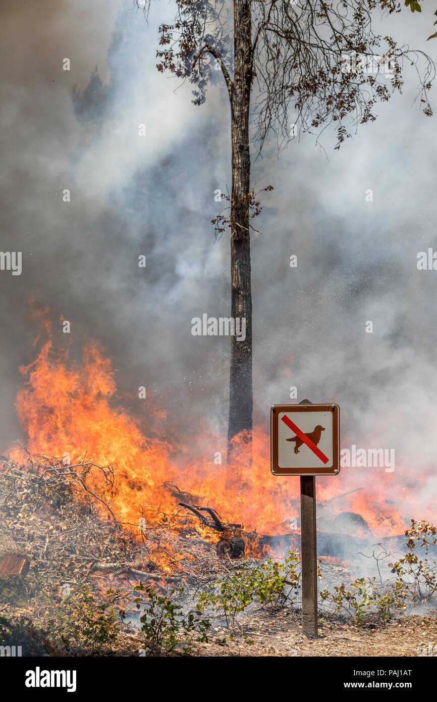 Firefighter bulldozer hi-res stock photography and images - Alamy