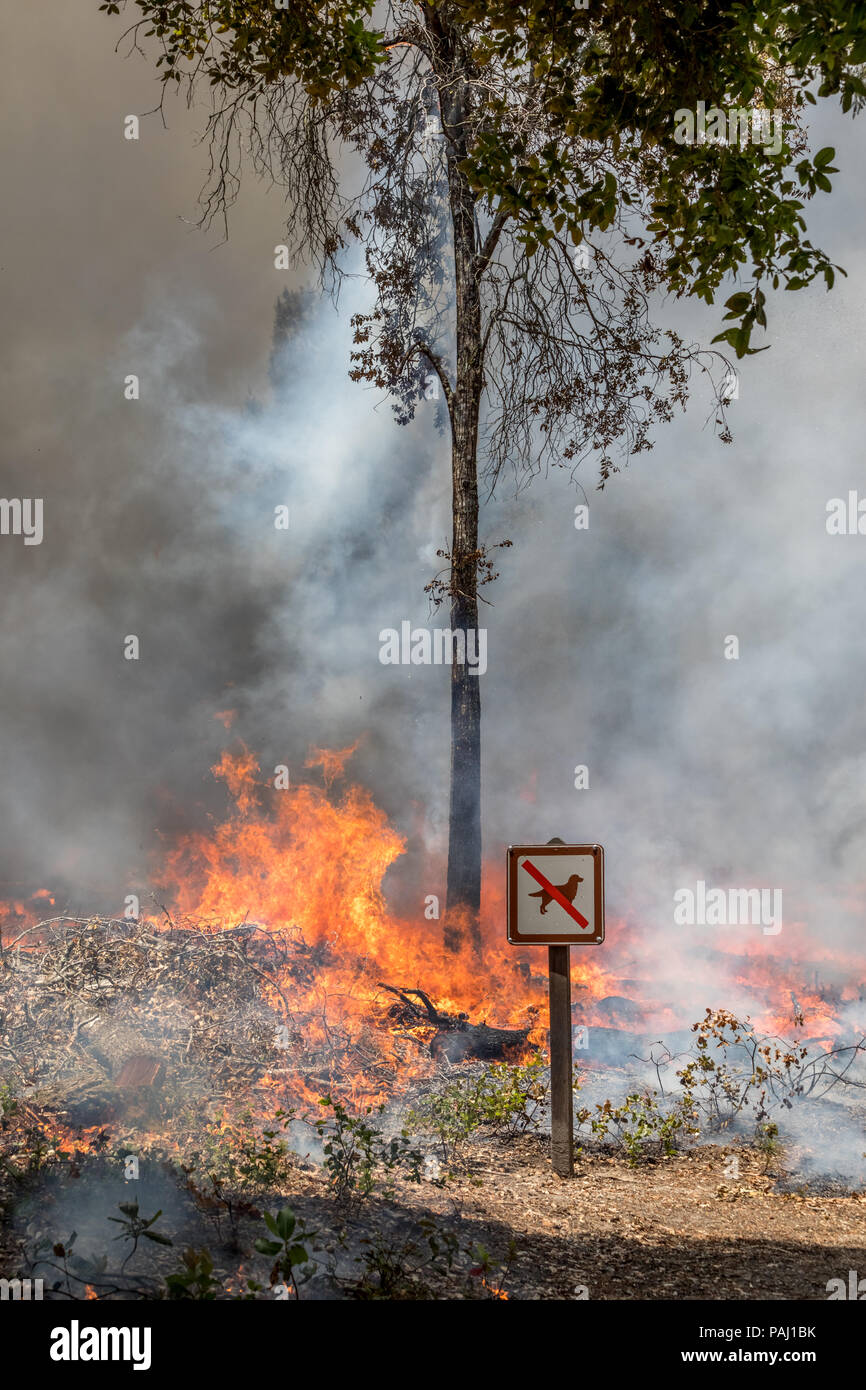 Firefighter bulldozer hi-res stock photography and images - Alamy