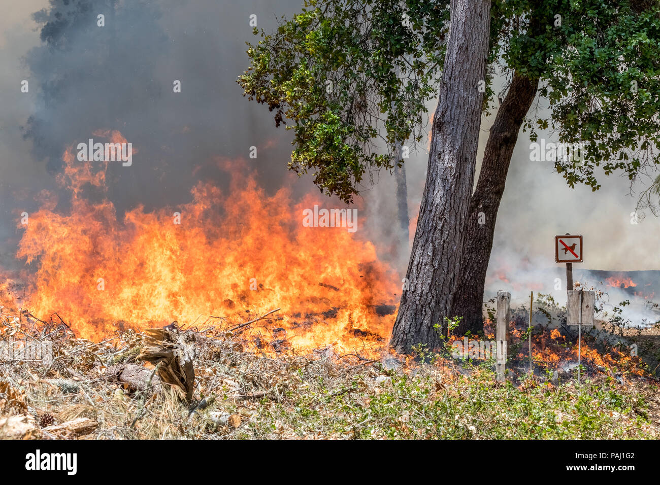 Firefighter bulldozer hi-res stock photography and images - Alamy