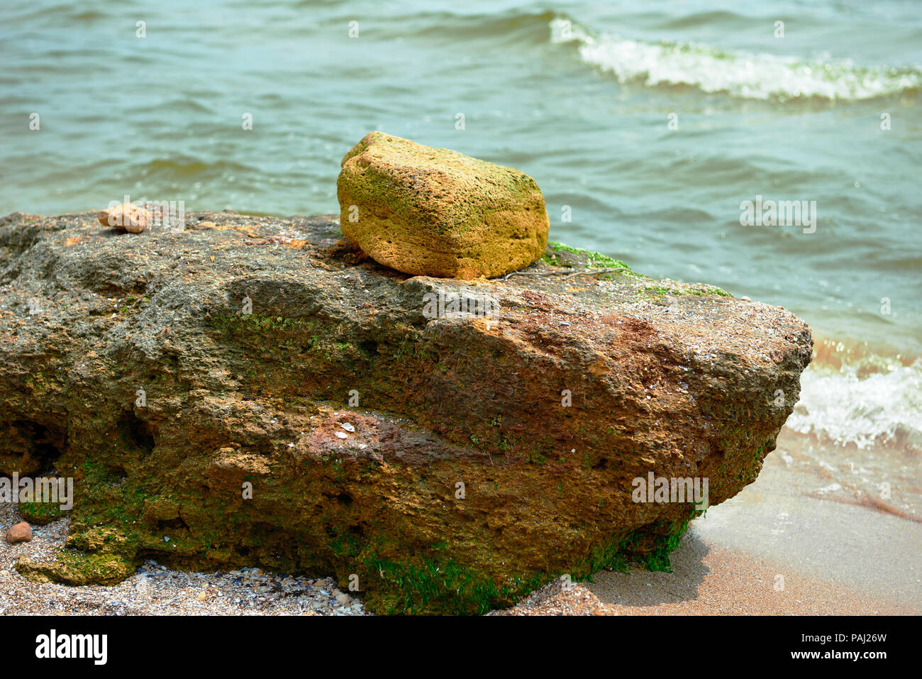 stone on the shore, wild beach by the sea, beautiful wild landscape ...