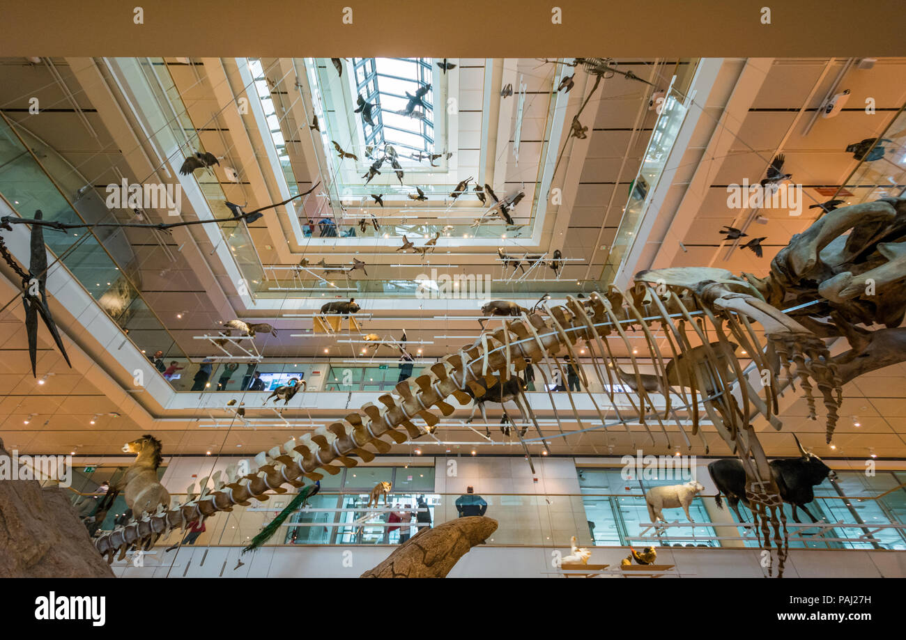 Muse - Science Museum - Trento in northern Italy - interior spaces of ...