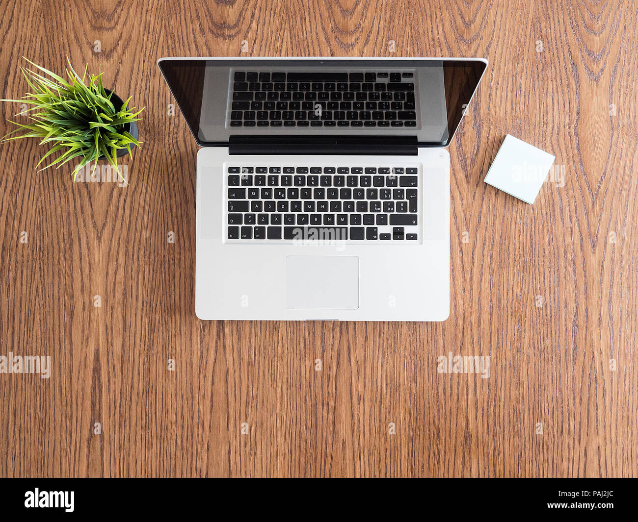 Tip view of businessman desk with a laptop and a pot of grass. Flatlay ...