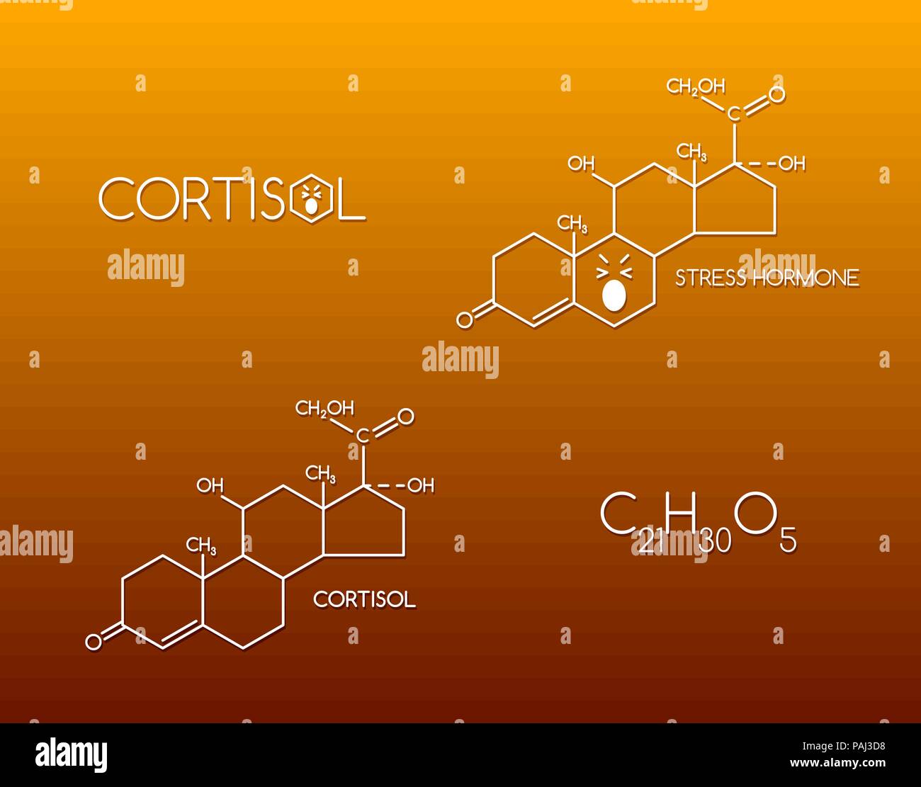 Cortisol Illustration Set Stress Hormone Formula Stock Vector Image