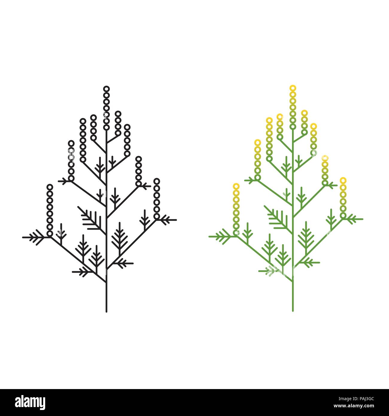 Stickweed hi-res stock photography and images - Alamy