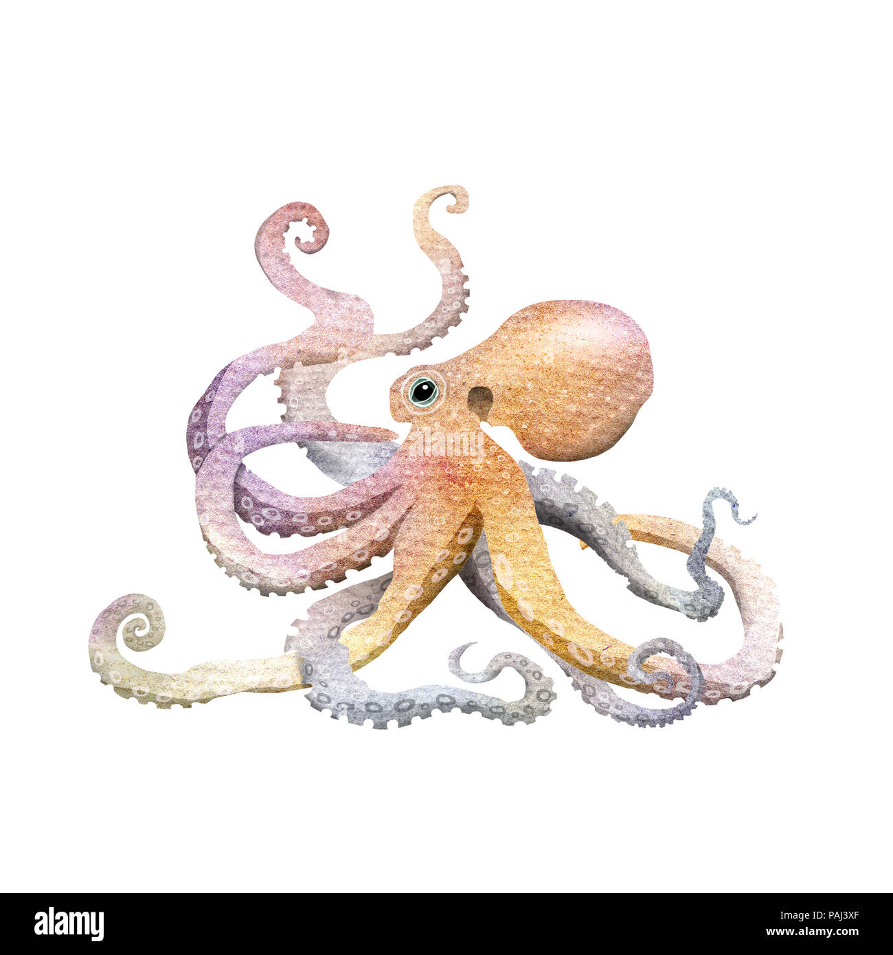 Octopus illustration hi-res stock photography and images - Alamy