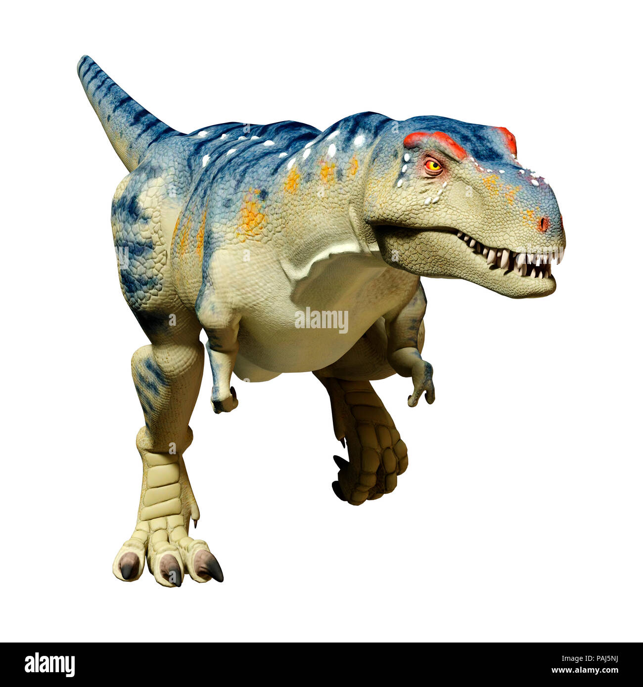 3D rendering of a dinosaur Tyrannosaurus isolated on white background ...