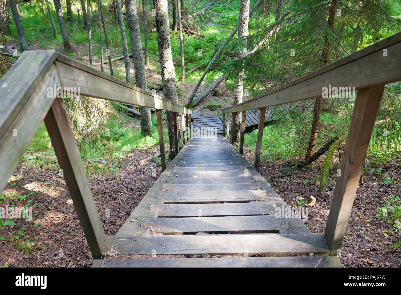 Wooden stairs in forest Stock Photo - Alamy